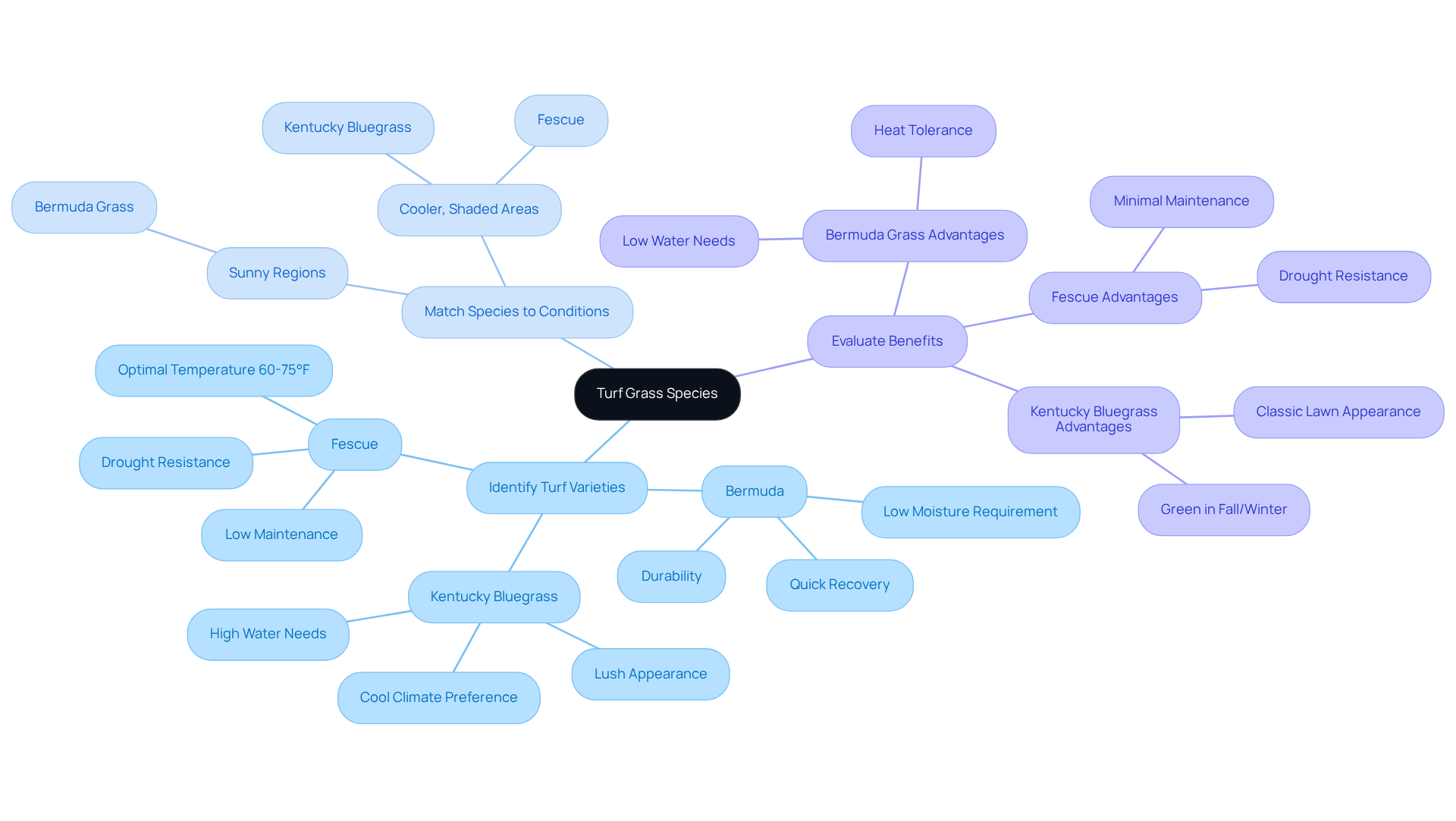 This mindmap helps you understand different types of turf grass and their benefits. Start at the center with the main topic, then follow the branches to learn about each grass type, how to choose based on your lawn's conditions, and the advantages of each species. This mindmap helps you understand different types of turf grass and their benefits. Start at the center with the main topic, then follow the branches to learn about each grass type, how to choose based on your lawn's conditions, and the advantages of each species.