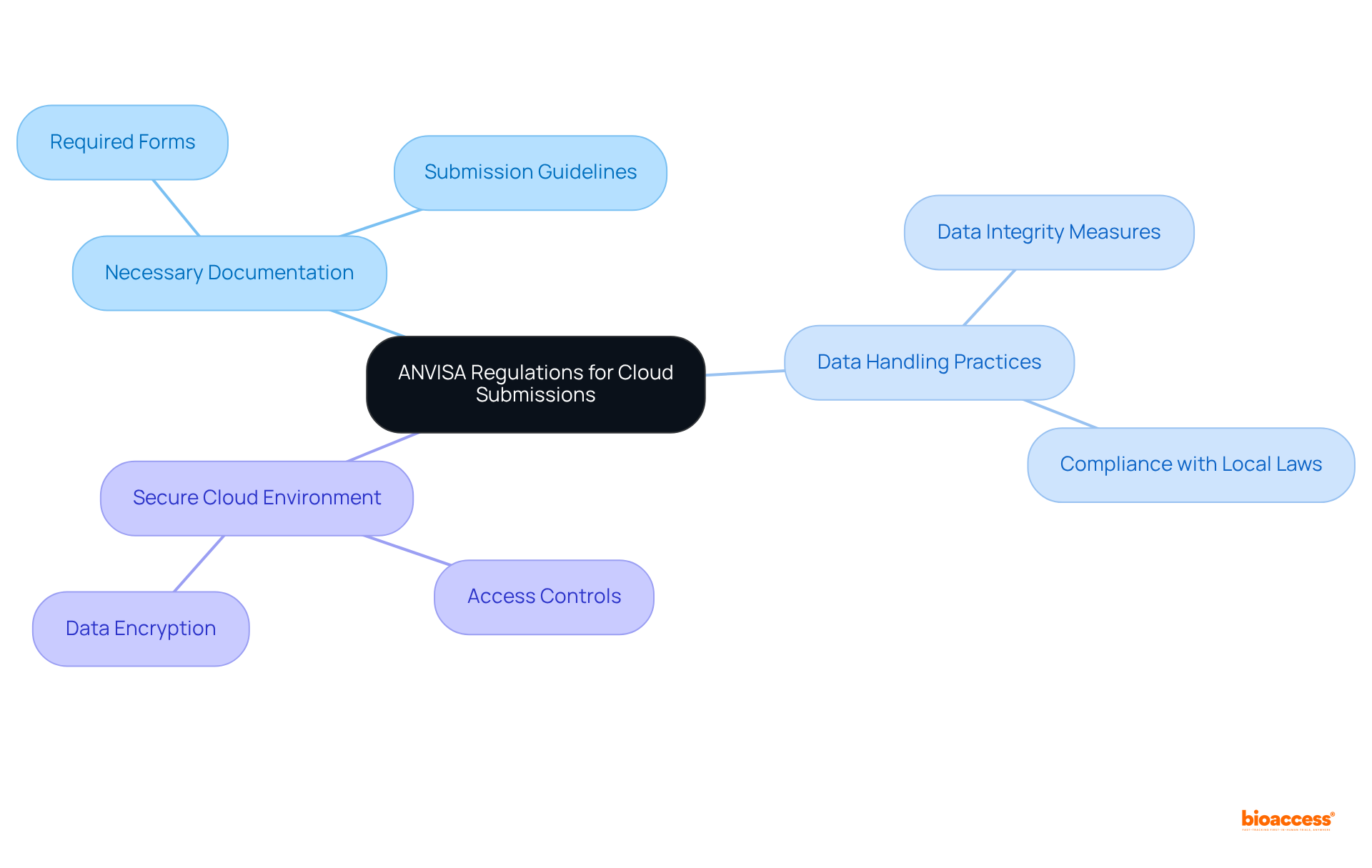 The central node represents the main topic — ANVISA regulations. Each branch highlights a key aspect that companies must consider. This map helps visualize how these components connect and contribute to compliance.