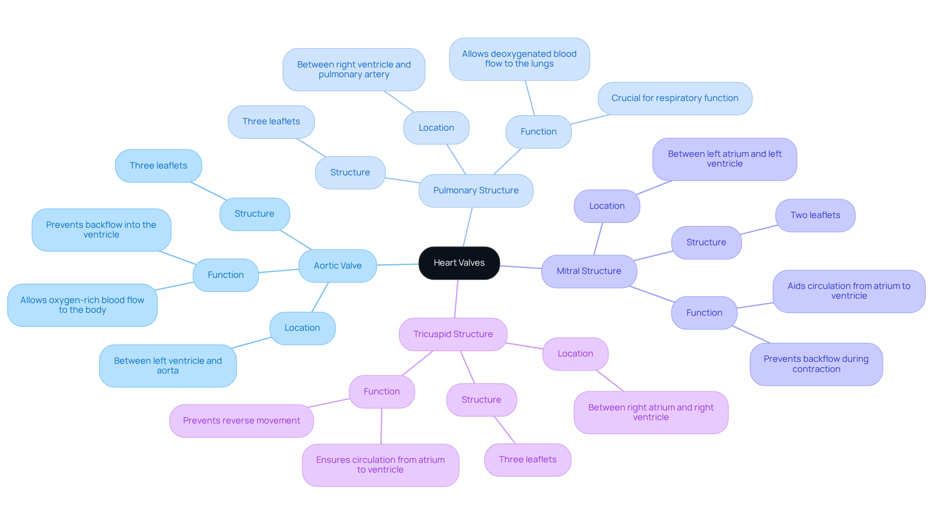 This mindmap illustrates the four main heart valves. Each branch represents a valve, and the sub-branches provide details about where they are located, how many leaflets they have, and their functions. This visual helps you understand how each valve contributes to heart health. This mindmap illustrates the four main heart valves. Each branch represents a valve, and the sub-branches provide details about where they are located, how many leaflets they have, and their functions. This visual helps you understand how each valve contributes to heart health.