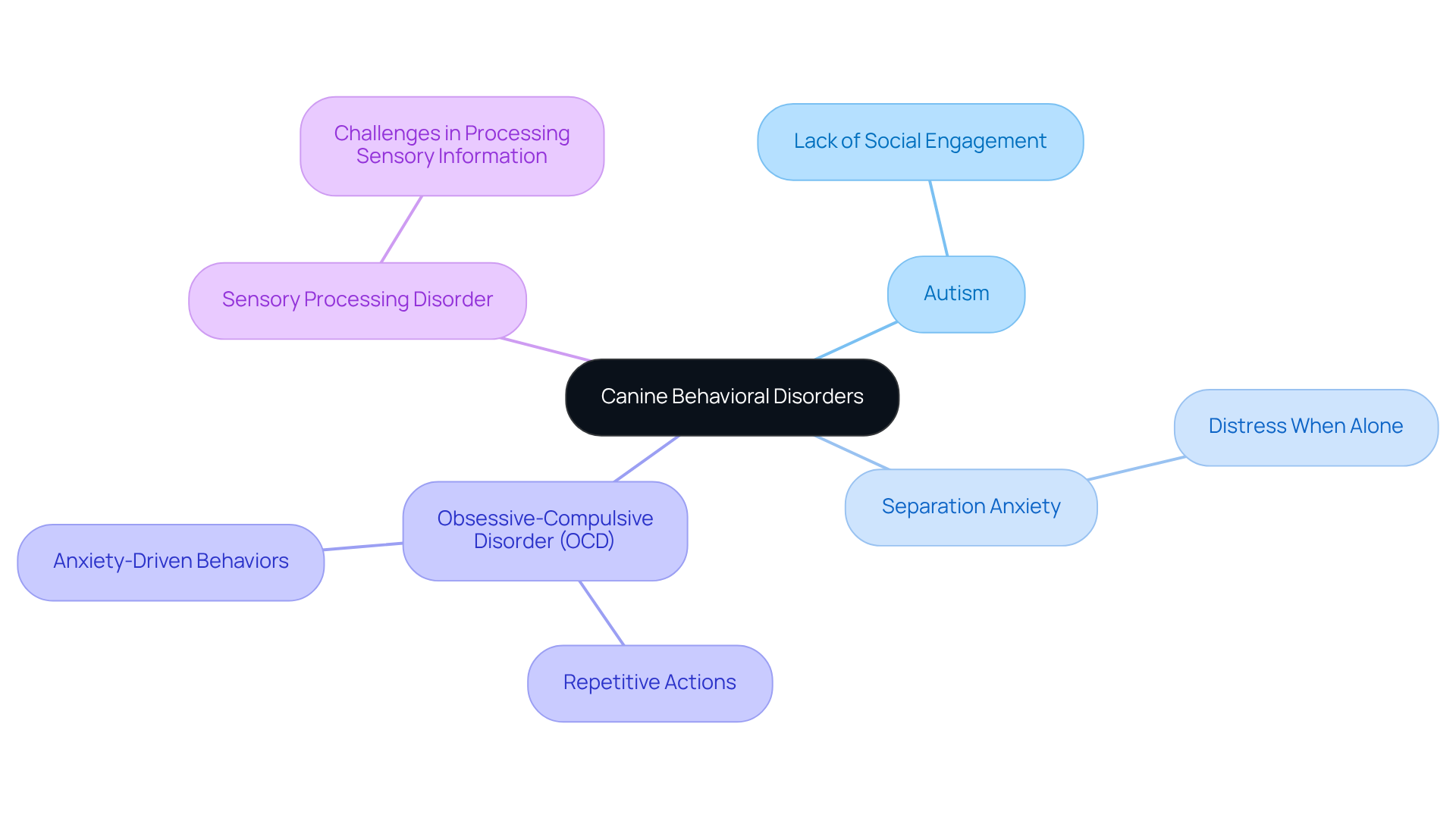 The central node represents the overall topic of canine behavioral disorders, with branches detailing specific conditions. Each branch highlights key characteristics that differentiate autism from other disorders, helping pet owners understand their furry friends better.