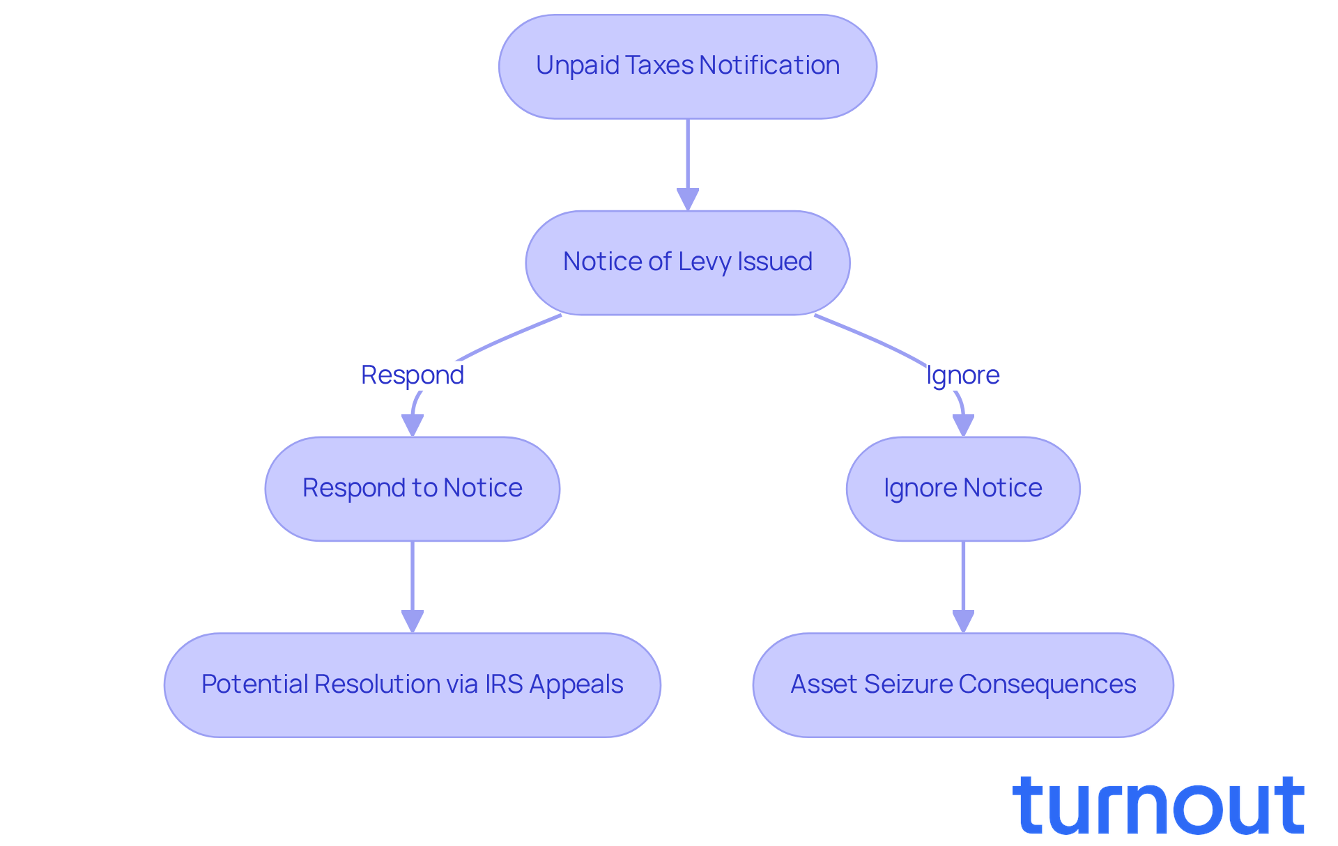 This flowchart shows the steps in the tax collection process. Follow the arrows to see what happens when you receive a Notice of Levy and the options available to you.