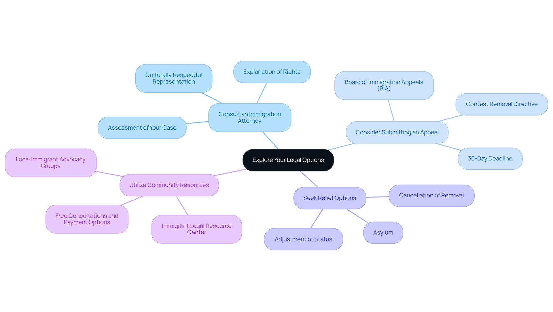 At the center, you'll find the main theme of exploring legal options. Each branch represents a specific path you can take, with further details available as you follow the sub-branches. This layout helps you see all available resources and options clearly.