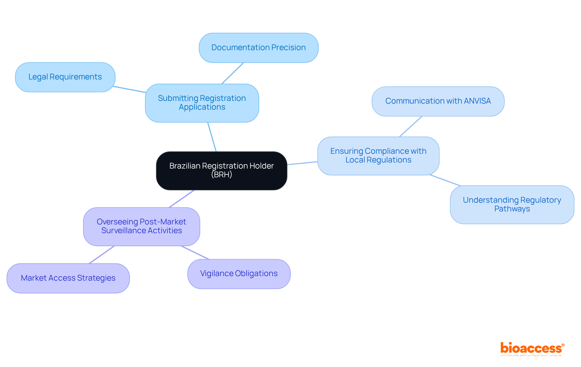The central node represents the BRH, while the branches show its key responsibilities. Each sub-branch provides additional context, helping you understand how the BRH supports foreign manufacturers in navigating Brazil's regulatory landscape.
