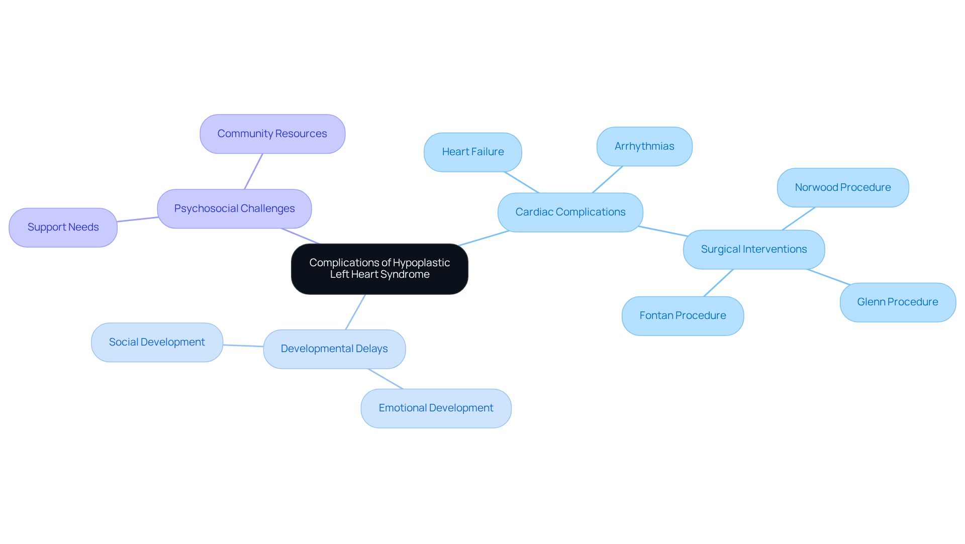 The central node represents the main topic, while the branches show different areas of concern. Each sub-branch provides more detail about specific risks and challenges, helping families understand the complexities of managing HLHS.