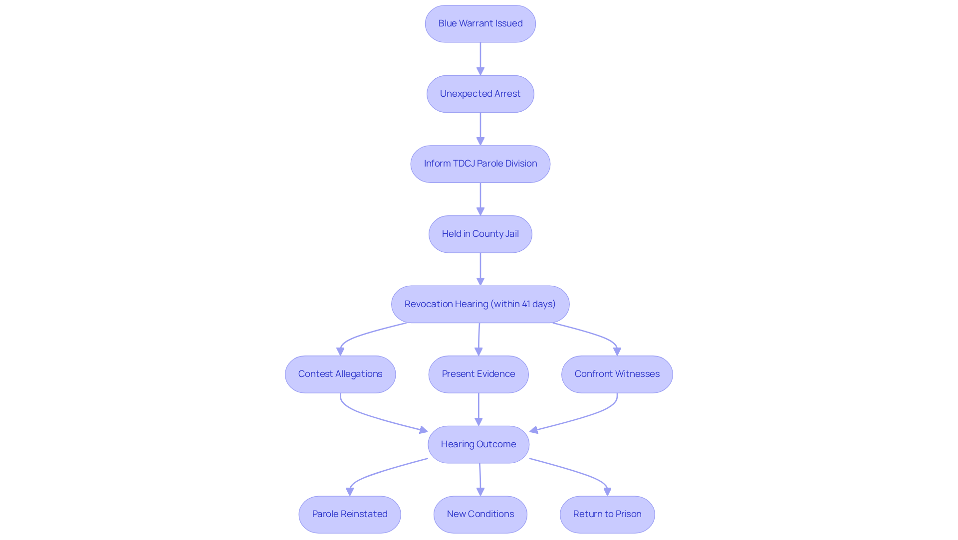 This flowchart shows the steps that happen after a blue warrant is issued. Start at the top with the warrant, and follow the arrows to see what happens next, including your rights during the hearing and possible outcomes.
