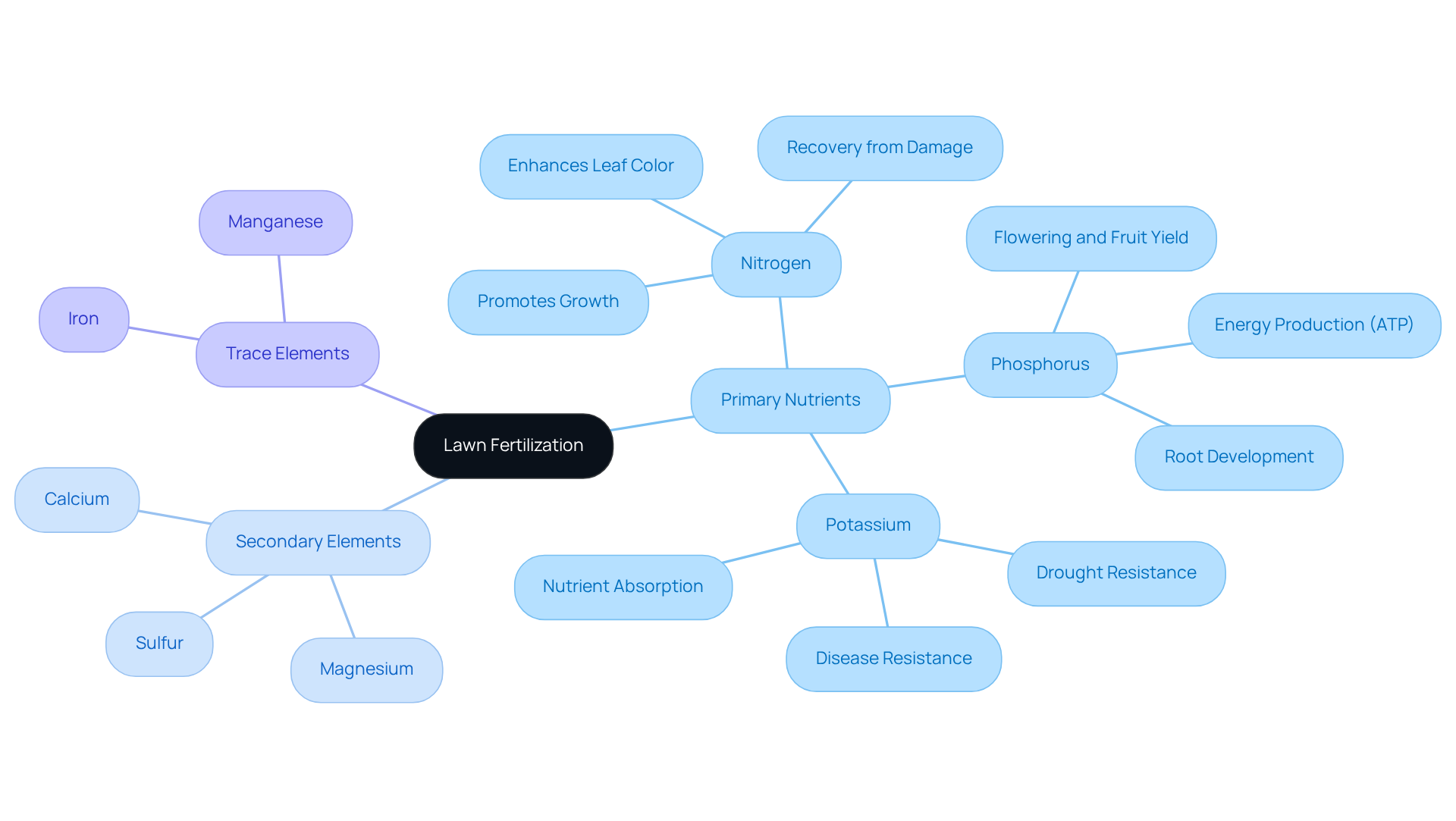 The central node represents lawn fertilization, with branches showing the main nutrients and their specific benefits. Each color-coded branch helps you understand how different elements contribute to a healthy lawn.
