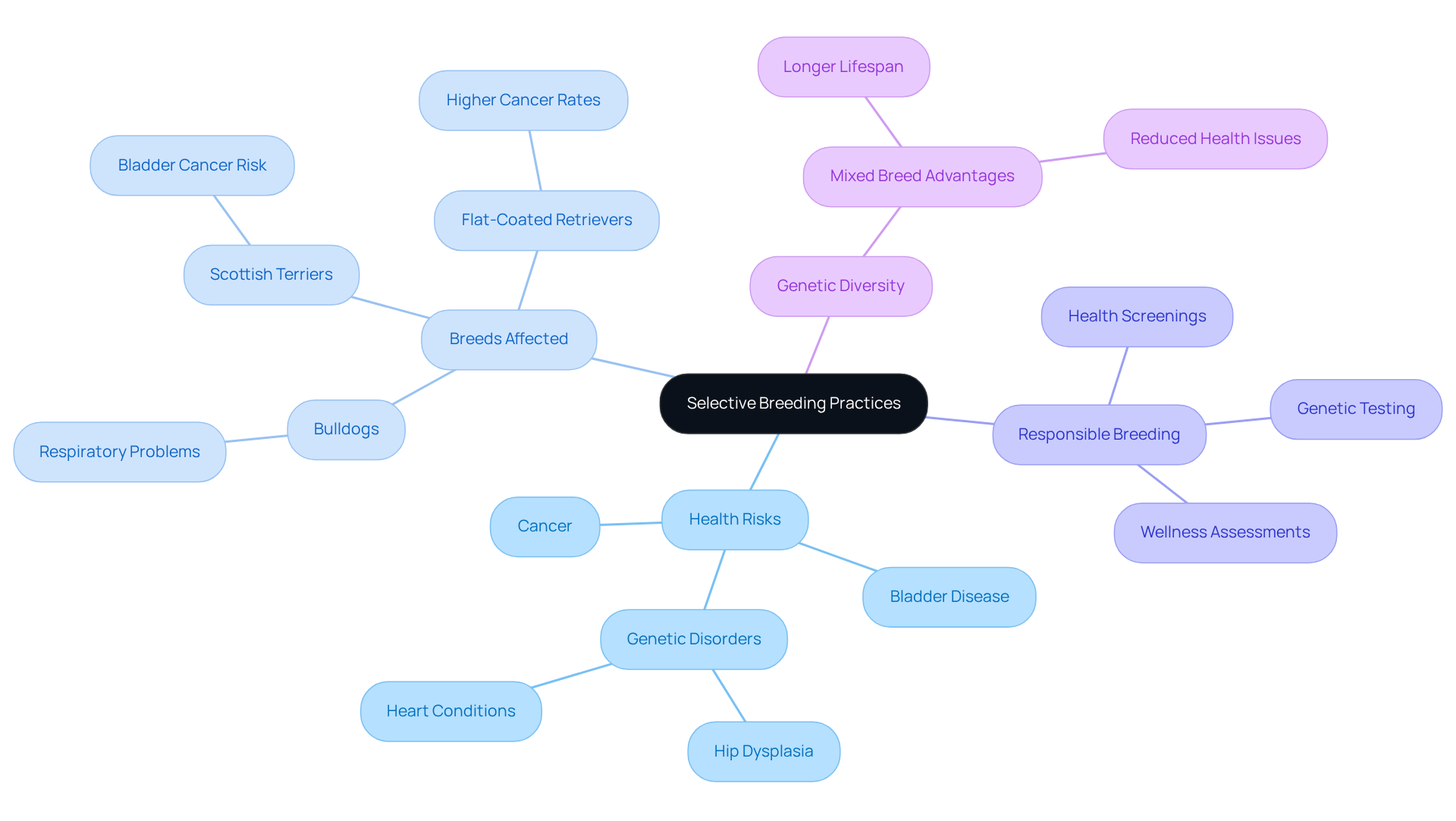 The central node represents selective breeding practices, while branches show health risks, affected breeds, and responsible breeding efforts. Each color-coded branch helps you understand how these elements connect. The central node represents selective breeding practices, while branches show health risks, affected breeds, and responsible breeding efforts. Each color-coded branch helps you understand how these elements connect.