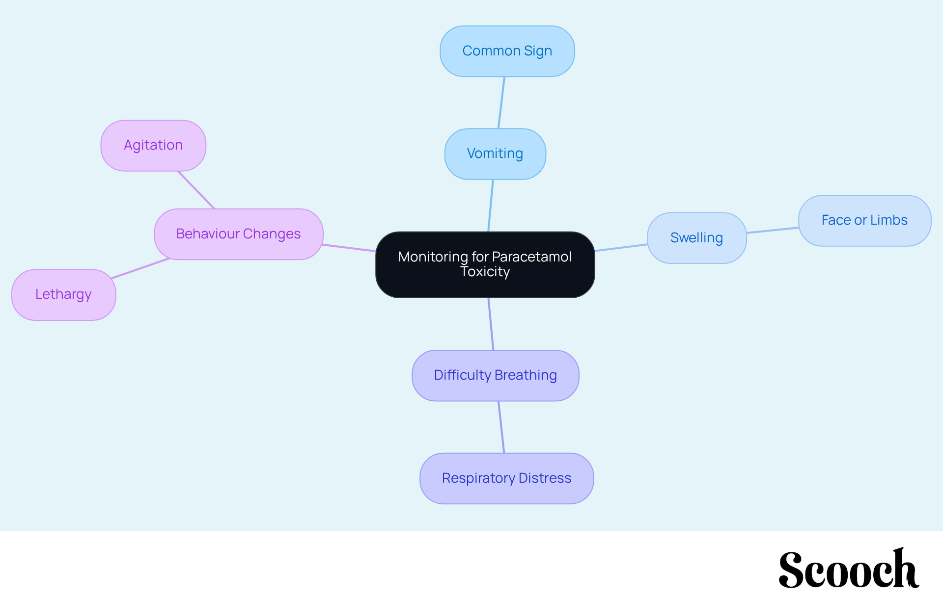 The center represents the main focus on monitoring for toxicity, while the branches illustrate specific symptoms to keep an eye on. Each color-coded branch helps you quickly identify important signs that require immediate attention. The center represents the main focus on monitoring for toxicity, while the branches illustrate specific symptoms to keep an eye on. Each color-coded branch helps you quickly identify important signs that require immediate attention.