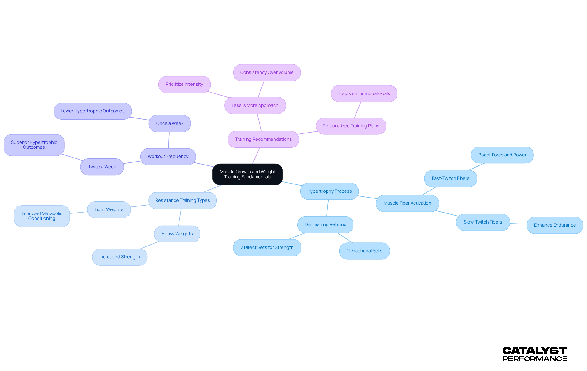 The center represents the main topic of muscle growth, with branches showing different aspects of weight training. Each branch leads to specific details, helping you understand how they connect and contribute to effective training. The center represents the main topic of muscle growth, with branches showing different aspects of weight training. Each branch leads to specific details, helping you understand how they connect and contribute to effective training.