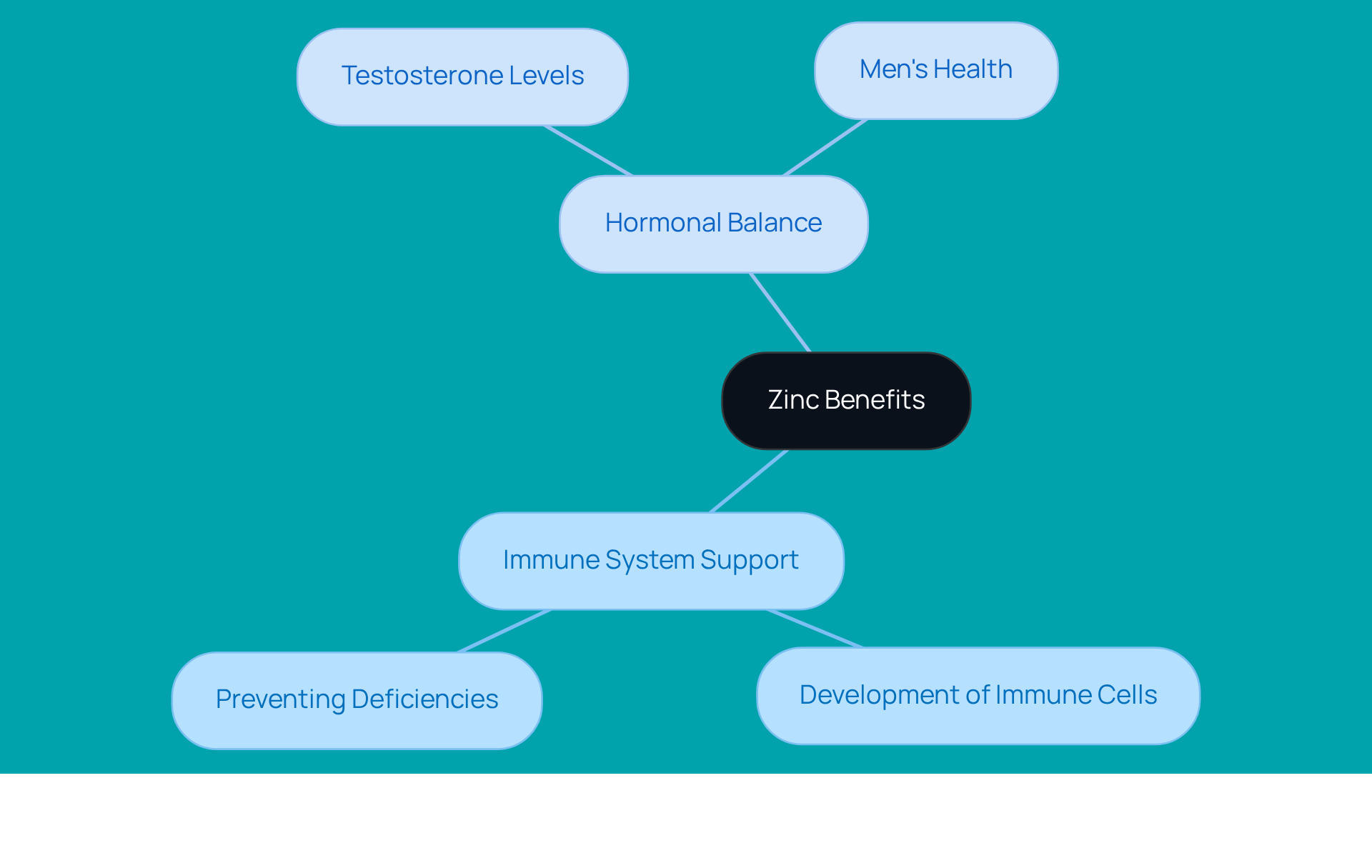 The center represents zinc's overall benefits, while branches show specific areas it influences — follow the branches to explore how zinc can support your health.