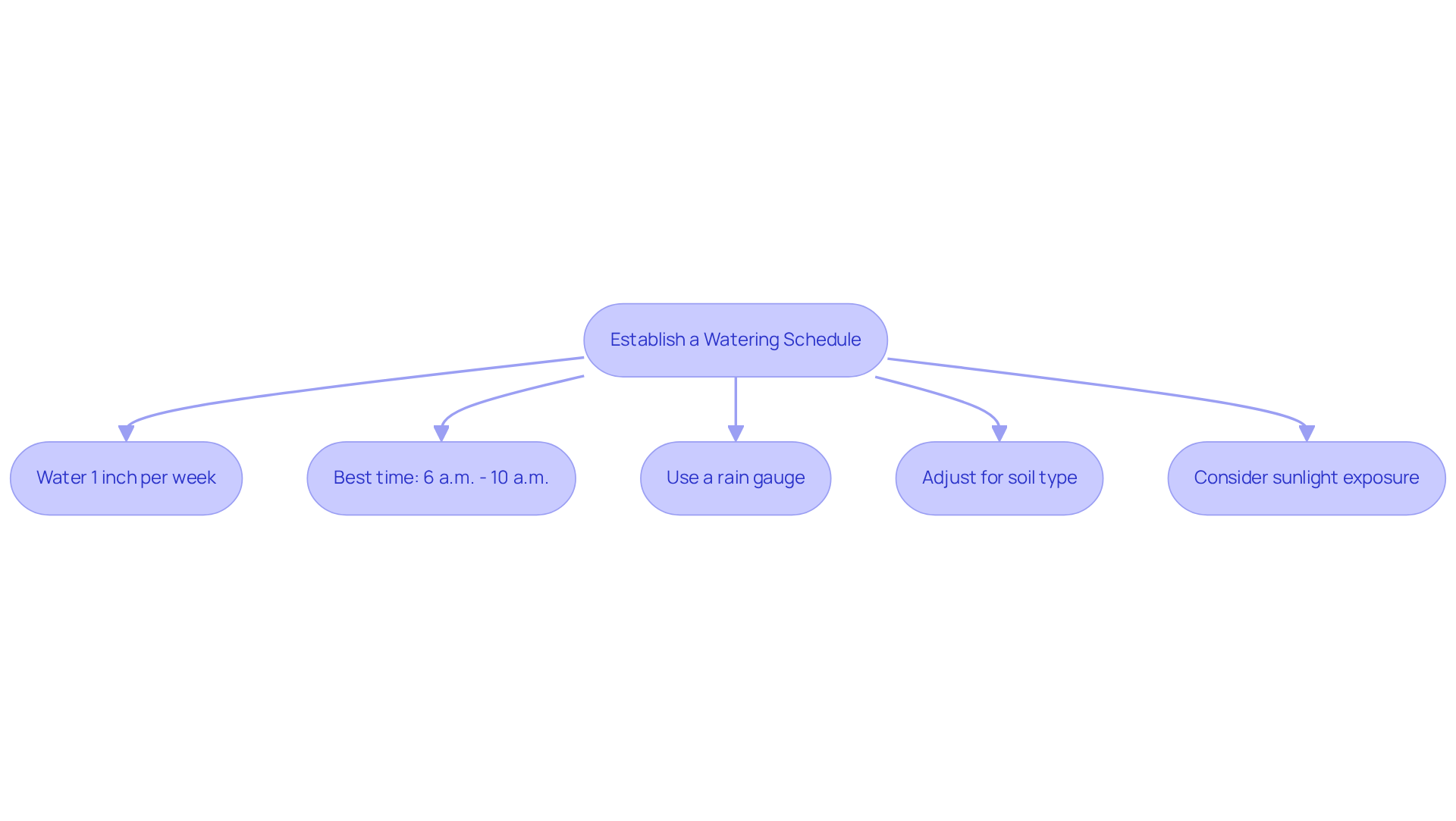Follow the arrows to see the steps for watering your lawn effectively. Each box represents an important tip or consideration to keep your grass healthy and vibrant.
