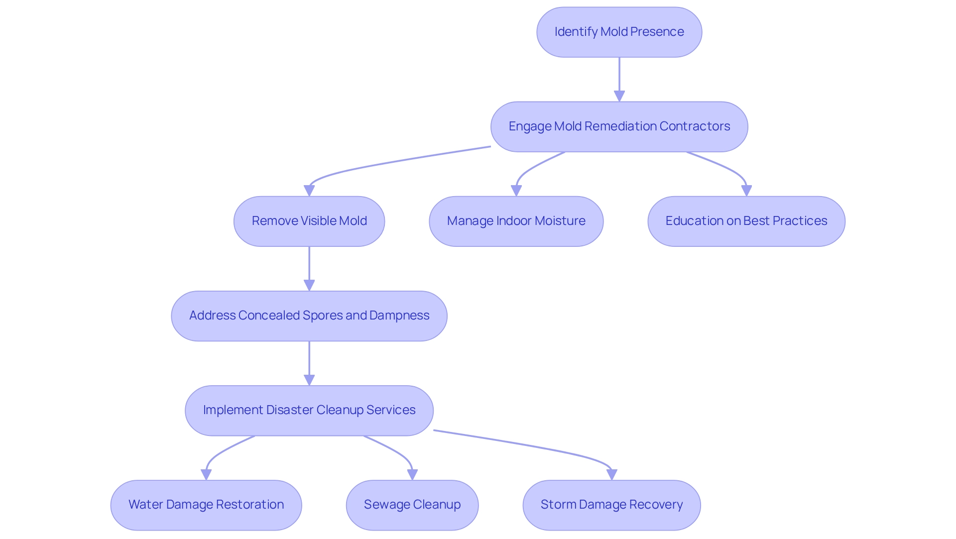 Each box represents a step in the mold remediation process, with arrows indicating the sequence. Color coding differentiates between main steps and sub-services.
