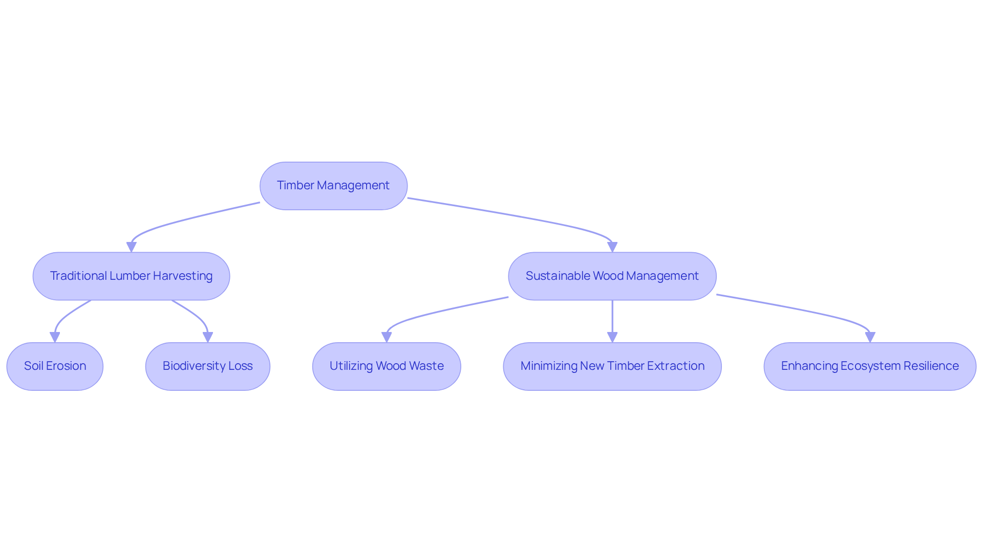 This flowchart illustrates the difference between traditional lumber harvesting and sustainable wood management. Follow the arrows to see how each approach affects the environment, with outcomes clearly outlined for each method. This flowchart illustrates the difference between traditional lumber harvesting and sustainable wood management. Follow the arrows to see how each approach affects the environment, with outcomes clearly outlined for each method.