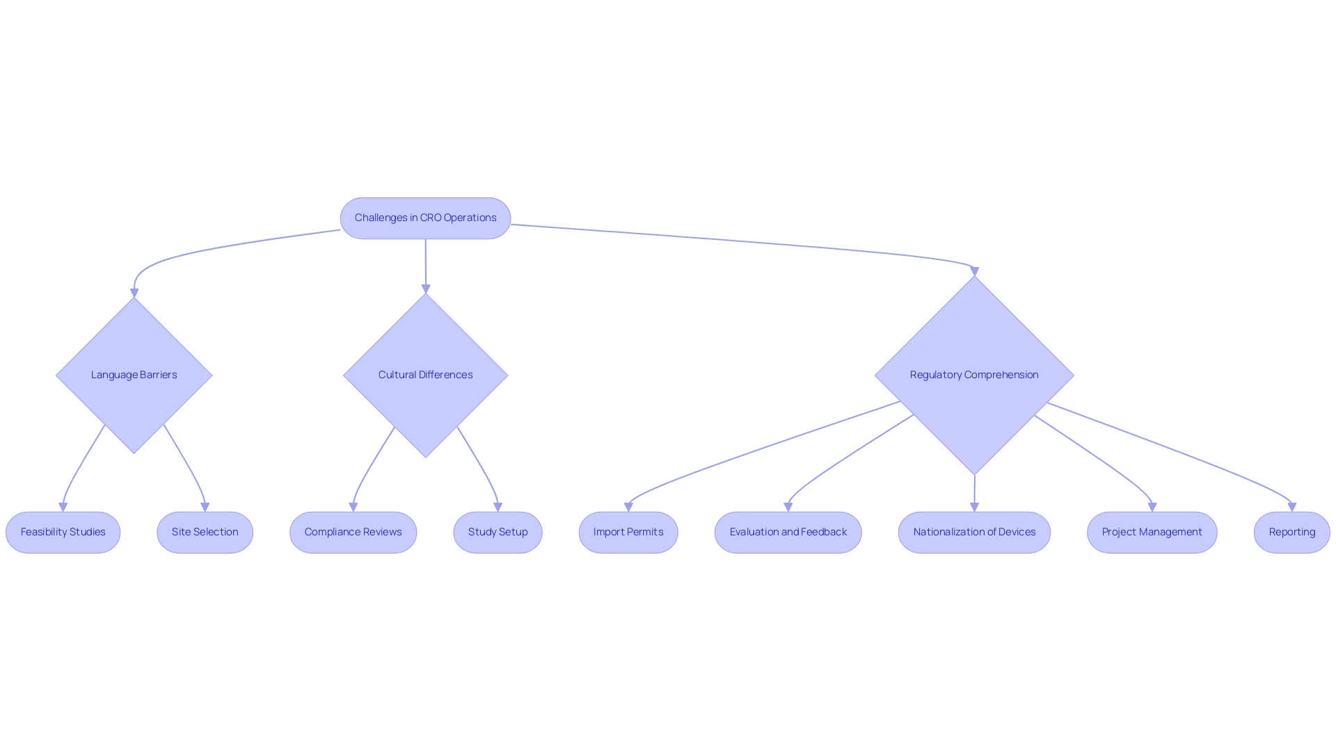 The main challenges are represented in one color, while the corresponding services are depicted in another, illustrating how each service addresses specific challenges in CRO operations.