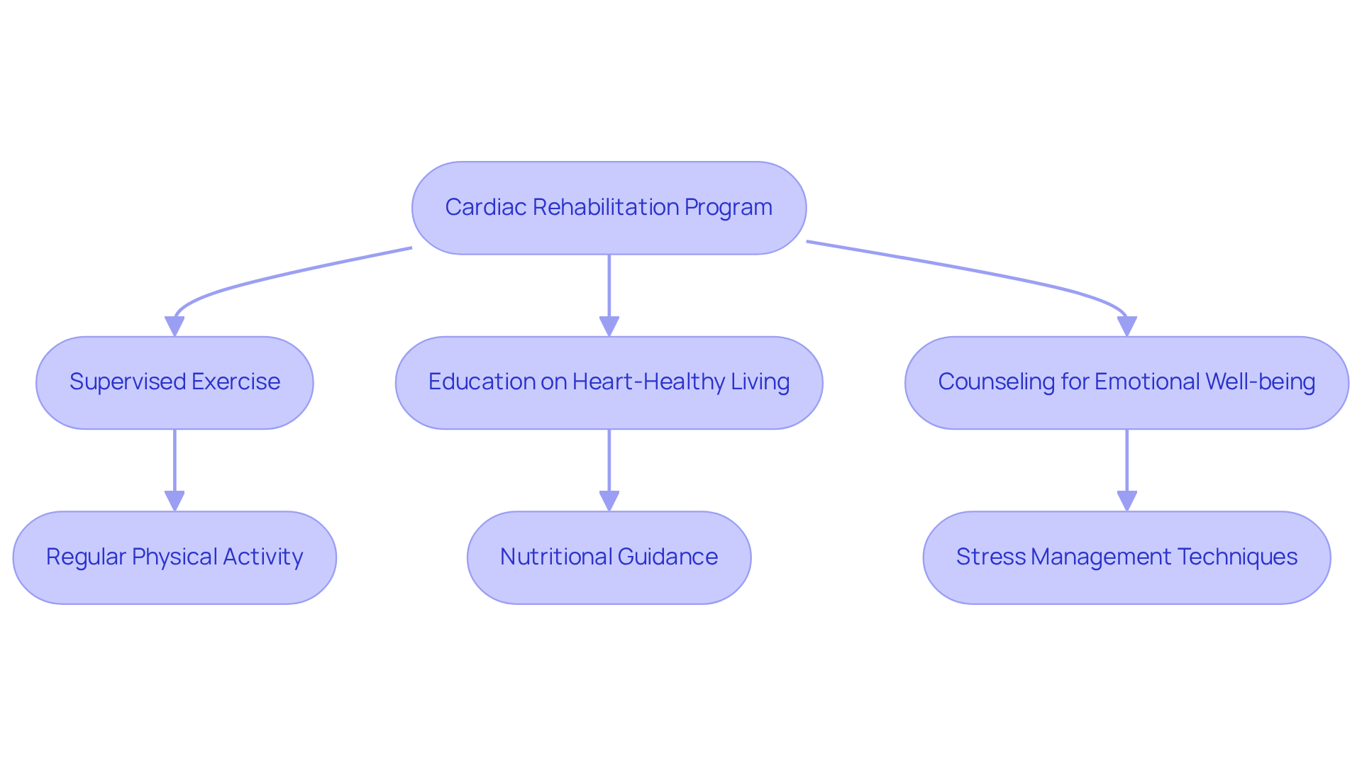 This flowchart outlines the essential parts of the cardiac rehabilitation program. Each branch represents a key area of focus, helping you see how they work together for a healthier recovery.