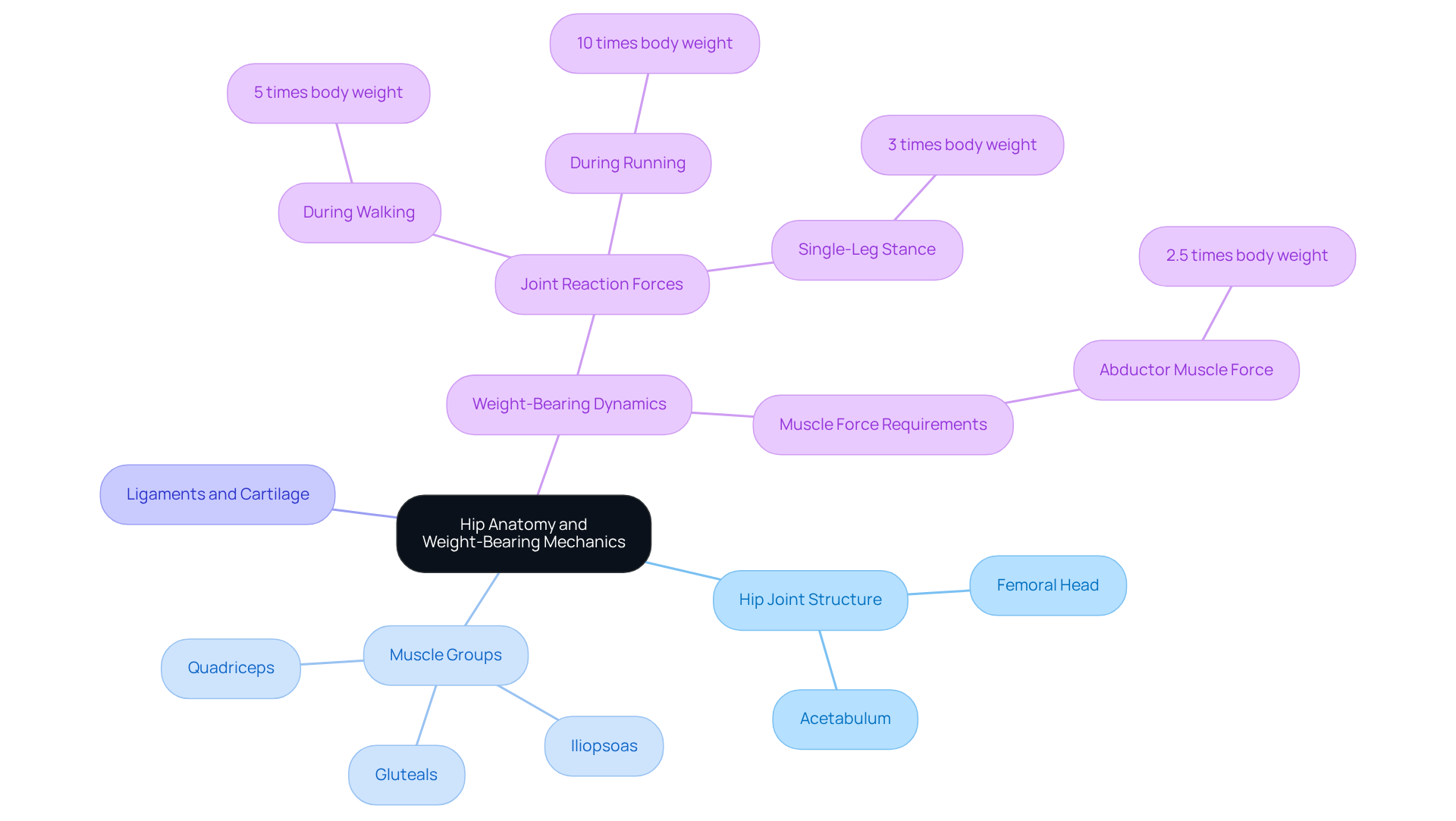 This mindmap starts with the main topic of hip anatomy and mechanics at the center. Each branch represents a key aspect of the hip's structure and function, helping you see how everything connects. The colors help differentiate between the various components, making it easier to understand how they work together. This mindmap starts with the main topic of hip anatomy and mechanics at the center. Each branch represents a key aspect of the hip's structure and function, helping you see how everything connects. The colors help differentiate between the various components, making it easier to understand how they work together.