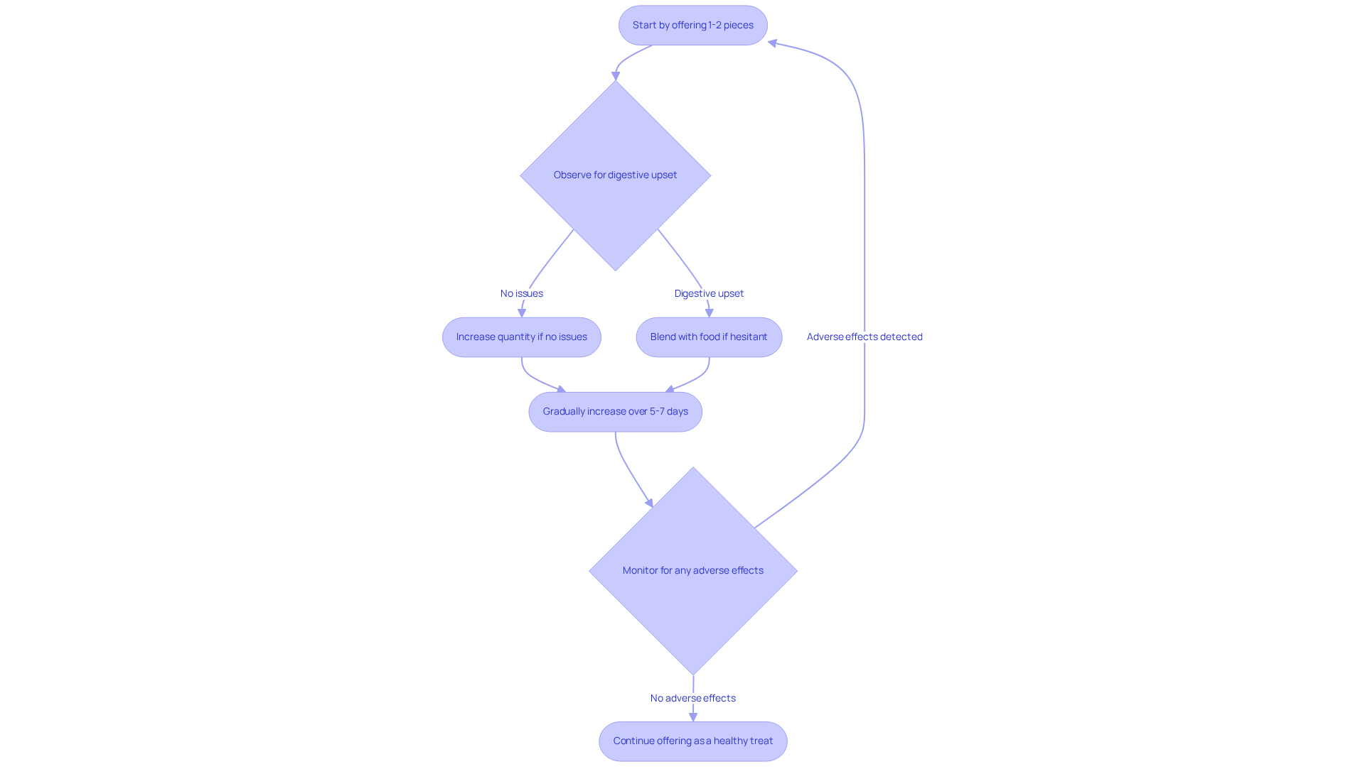 This flowchart walks you through the process of adding green beans to your dog's diet — just follow the steps from start to finish, and remember to keep an eye on how your furry friend reacts!