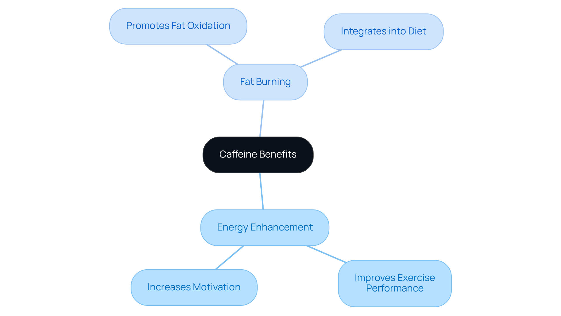 This mindmap shows how caffeine can help boost your energy and aid in fat burning. Start at the center with the main idea, then follow the branches to see how caffeine enhances your workouts and supports your weight loss journey.