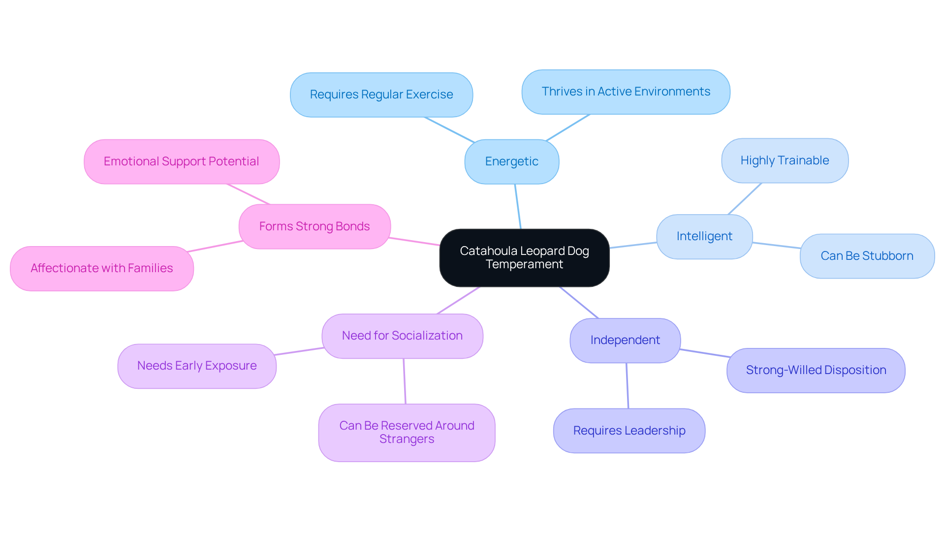 The central node represents the overall temperament of the Catahoula. Branches illustrate key traits and their implications, helping you understand how they affect training and companionship. The central node represents the overall temperament of the Catahoula. Branches illustrate key traits and their implications, helping you understand how they affect training and companionship.