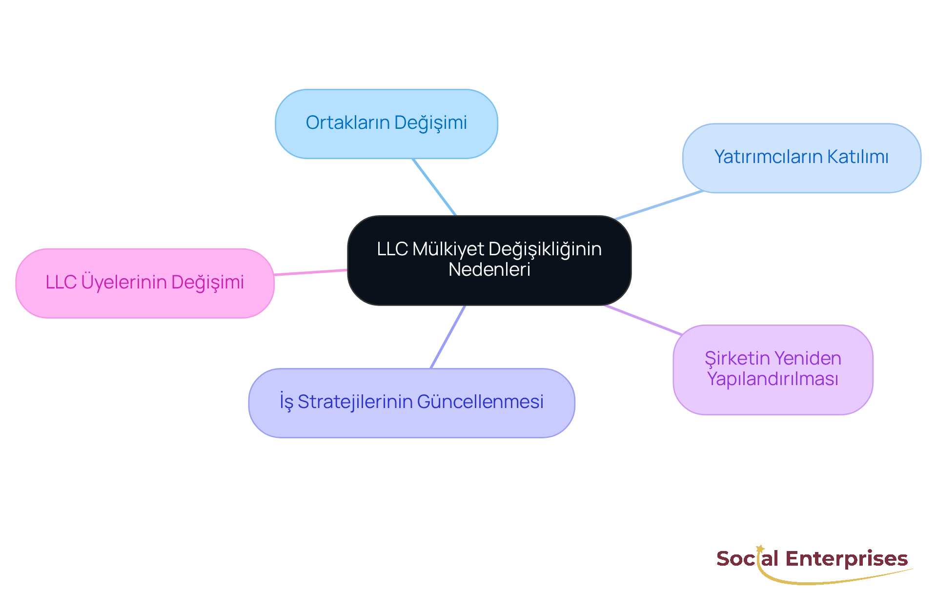 Orta kısım ana konuyu gösterirken, dallar her bir nedenin ne olduğunu ve neden önemli olduğunu açık bir şekilde anlatıyor. Dalları takip ederek LLC mülkiyet değişikliklerinin altında yatan sebepleri görebilirsiniz.