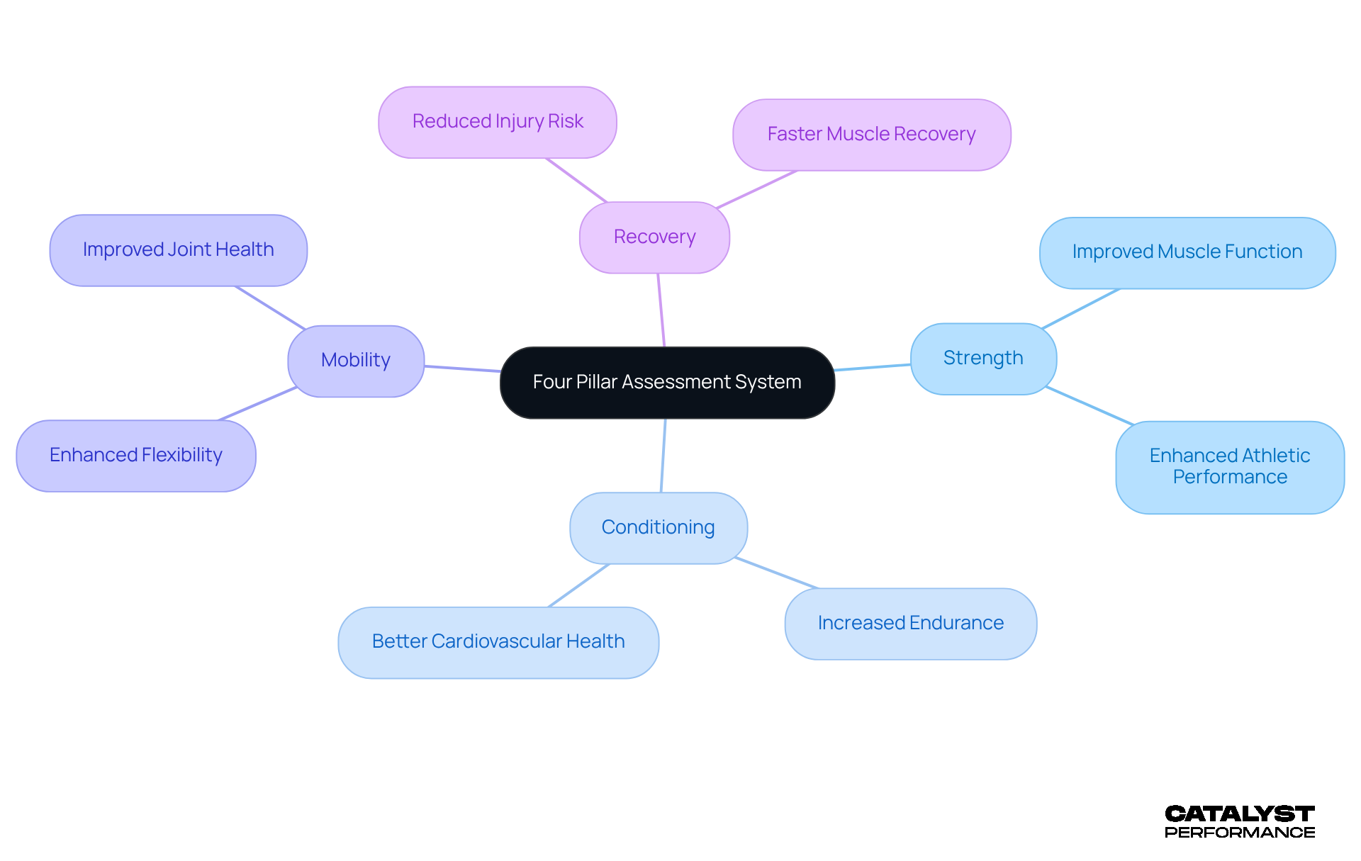 The center represents the assessment system, while the branches show the four key areas of focus. Each area contributes to overall wellness, and the sub-branches can highlight specific benefits or insights related to that pillar.