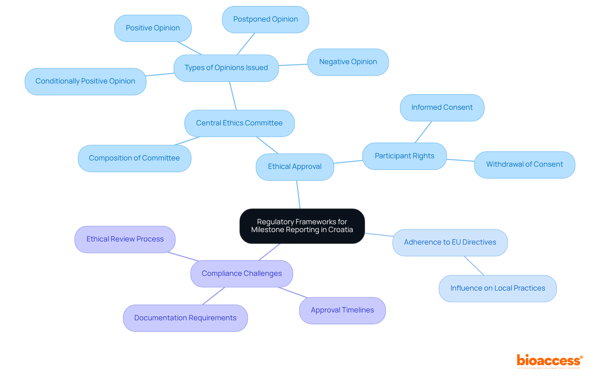 The central node represents the main topic, while the branches show key areas of focus. Each sub-branch provides more detail on specific aspects, helping you understand how they connect to the overall regulatory framework.