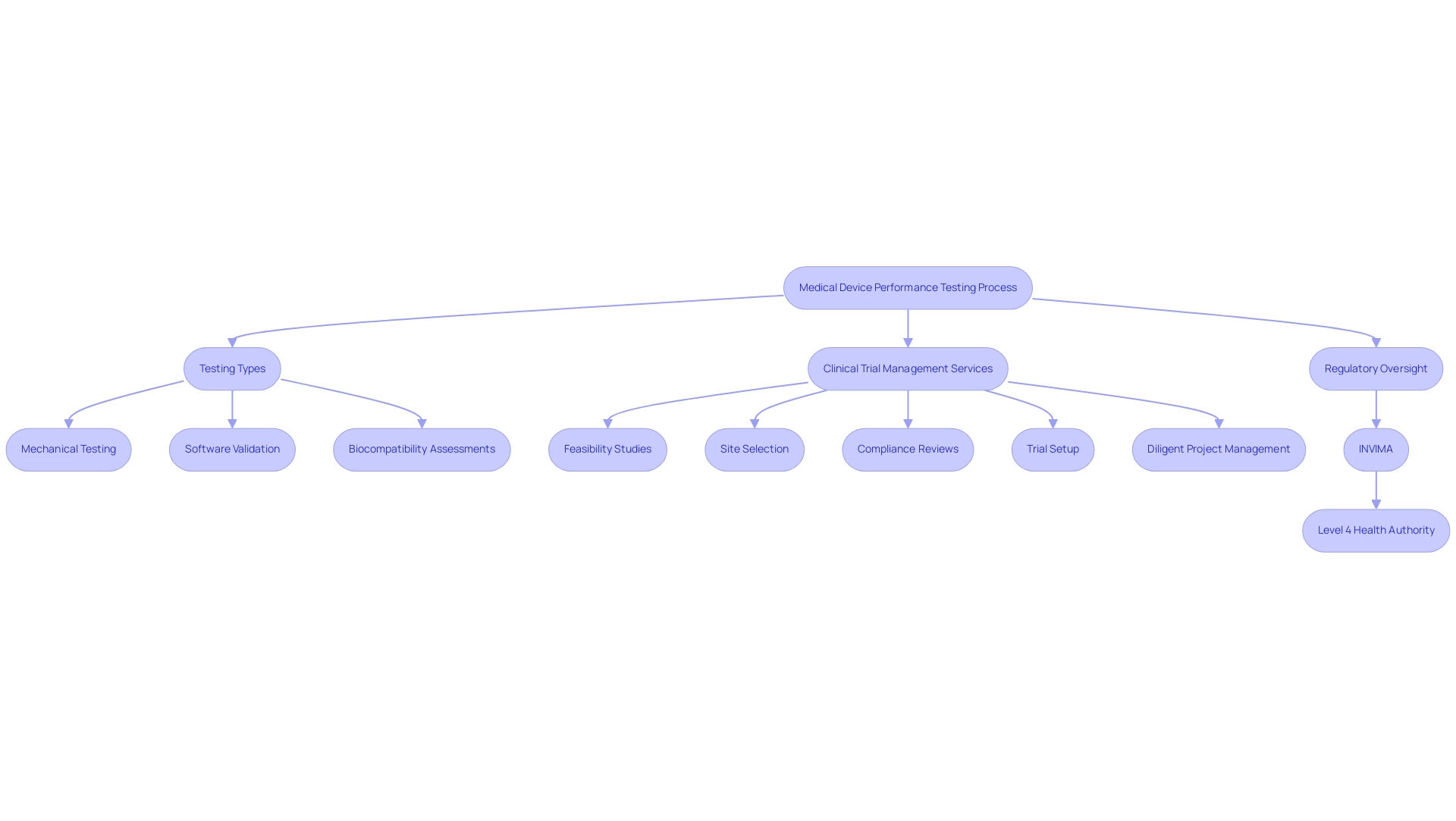 Each box represents a component of the performance testing process, with arrows indicating the flow and relationships between testing types, management services, and regulatory oversight.