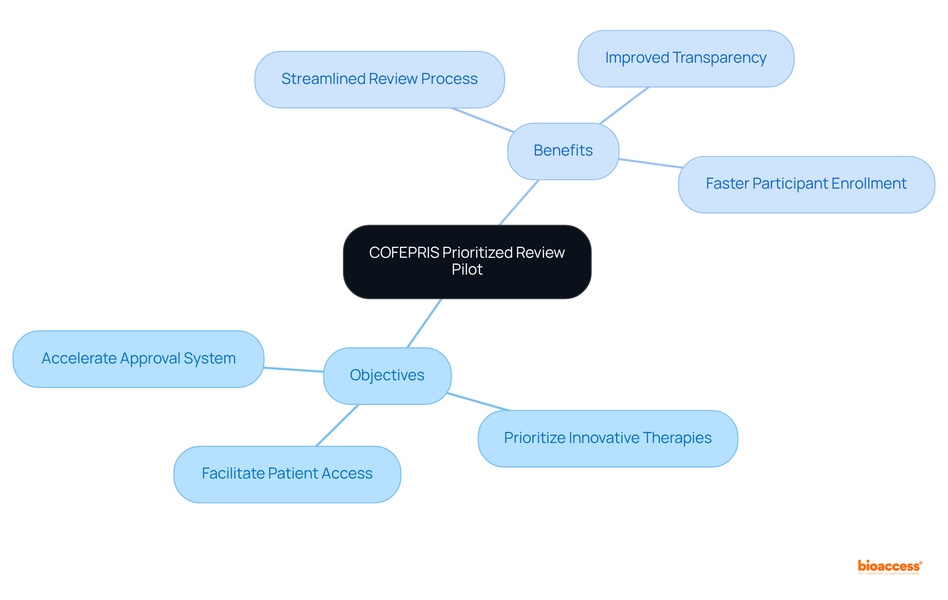 The central node represents the pilot program, and branches show its objectives and benefits — follow the connections to understand how they relate to each other.
