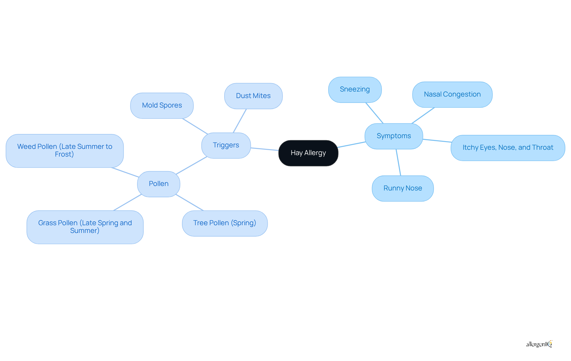 The central node represents hay allergy, with branches showing symptoms and triggers. Each symptom and trigger is connected to the main topic, illustrating how they relate to the experience of hay allergy.