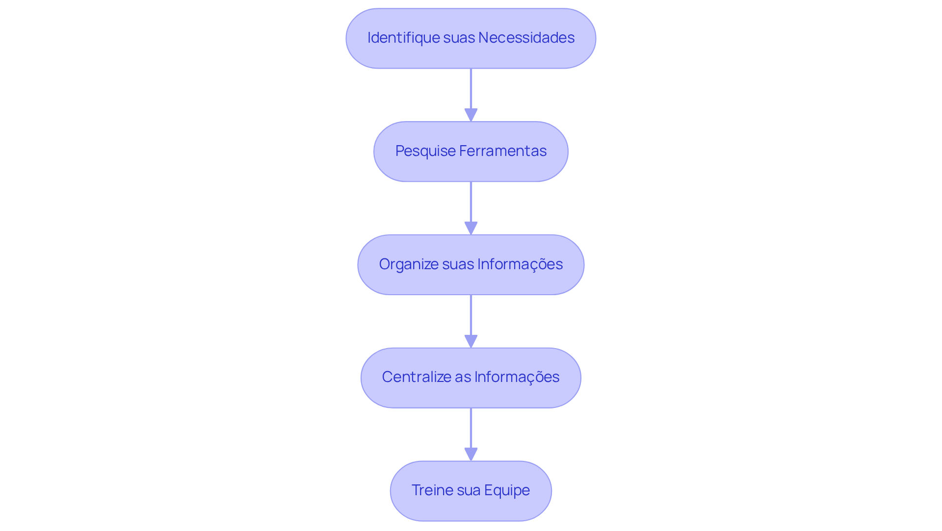 Cada caixa representa uma etapa no processo. Siga as setas para entender como cada passo leva ao próximo, desde a identificação de necessidades até o treinamento da equipe.