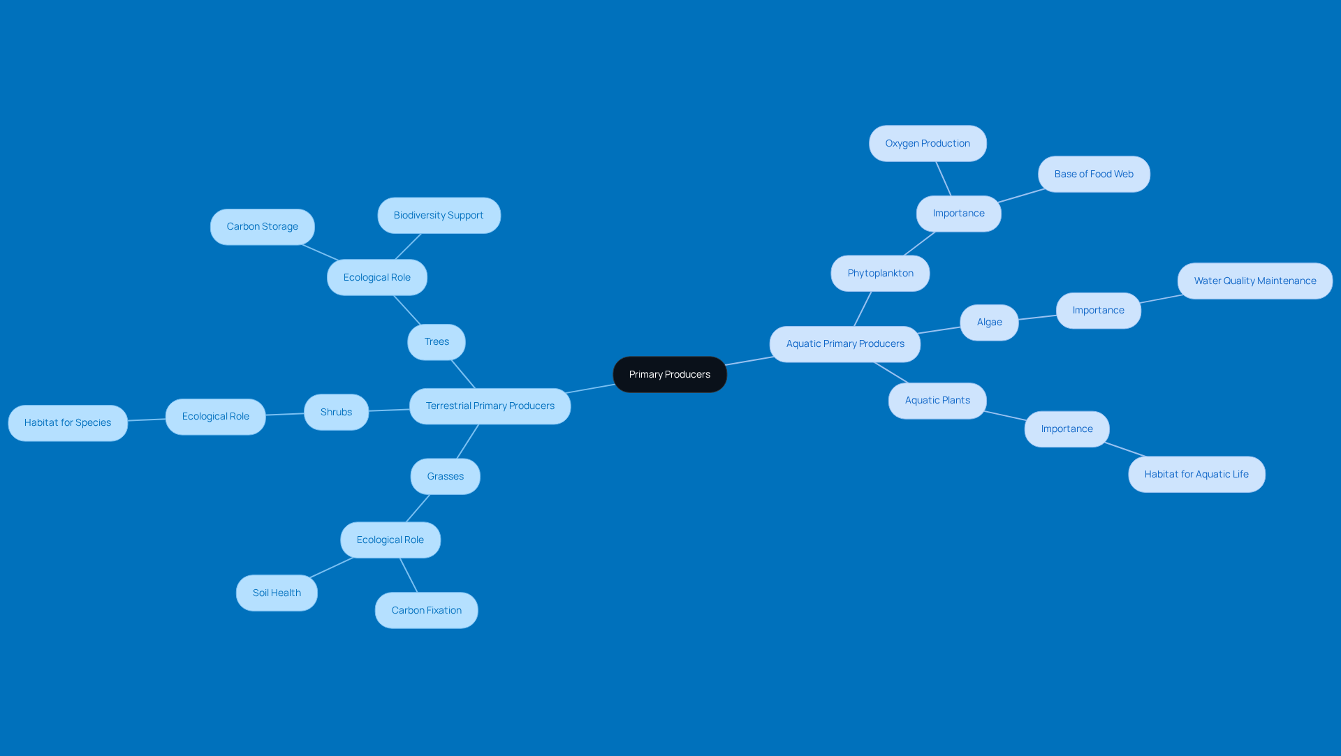 The central node represents the overall concept of primary producers. Branches show the two main types, with further details on specific examples and their ecological significance, helping you see how they all connect.
