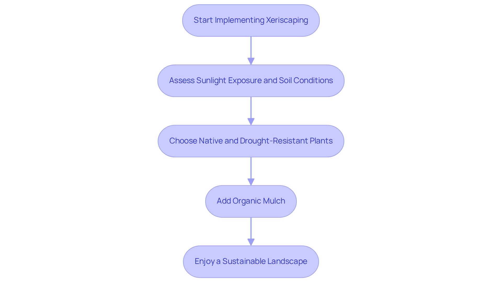Follow the arrows to see how to create a sustainable landscape with xeriscaping. Each step guides you through the process, from assessing your yard to enjoying your beautiful, low-maintenance garden.