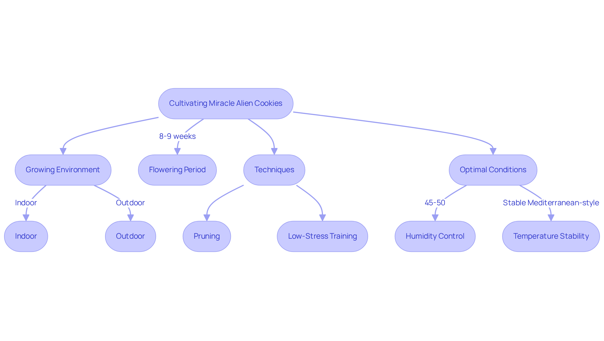Each box represents a key step in the cultivation process — follow the arrows to see how each part connects to growing healthy plants. Each box represents a key step in the cultivation process — follow the arrows to see how each part connects to growing healthy plants.
