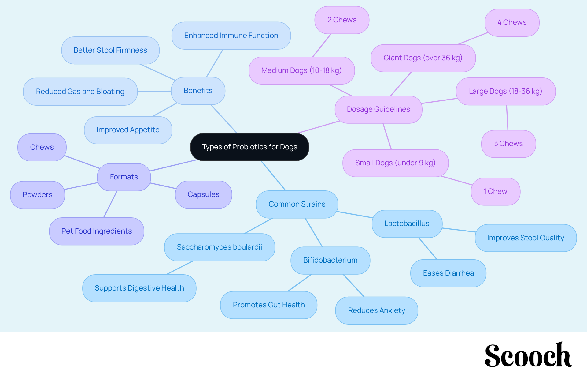 This mindmap starts with probiotics at the center and branches out into different categories. Each branch shows important information about strains, benefits, formats, and how much to give based on your dog's size — making it easy to find what you need! This mindmap starts with probiotics at the center and branches out into different categories. Each branch shows important information about strains, benefits, formats, and how much to give based on your dog's size — making it easy to find what you need!