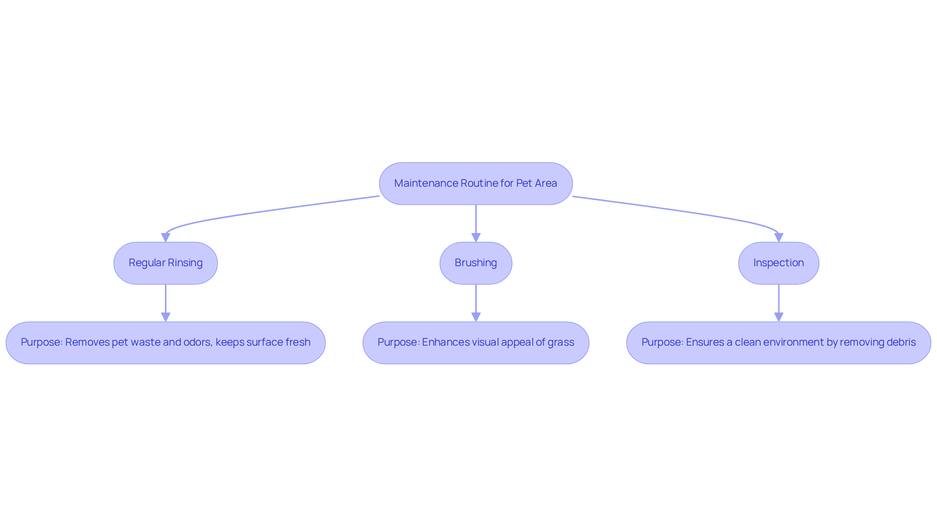 Follow the arrows to see the steps you need to take to keep your pet area clean and fresh. Each box represents an important task, and the notes explain why it's beneficial.