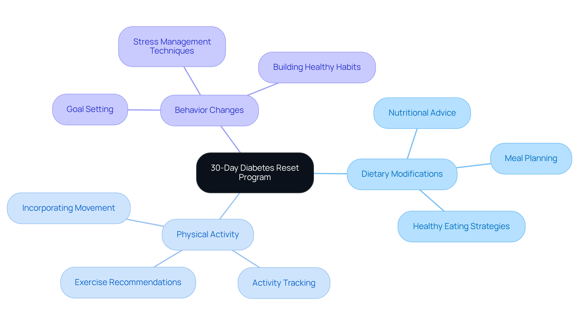 At the center is the program, and the branches show the key areas you will focus on. Each area has specific strategies to help you take control of your health. At the center is the program, and the branches show the key areas you will focus on. Each area has specific strategies to help you take control of your health.