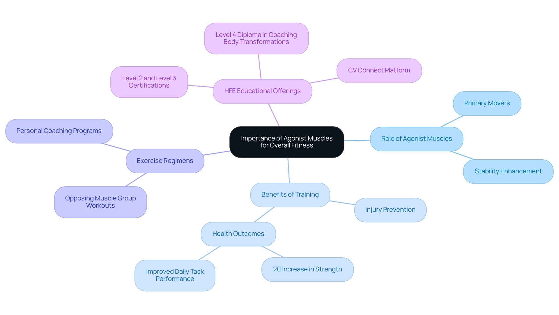 Central node represents the main theme, with branches detailing roles, benefits, exercise regimens, and educational offerings related to agonist muscles.
