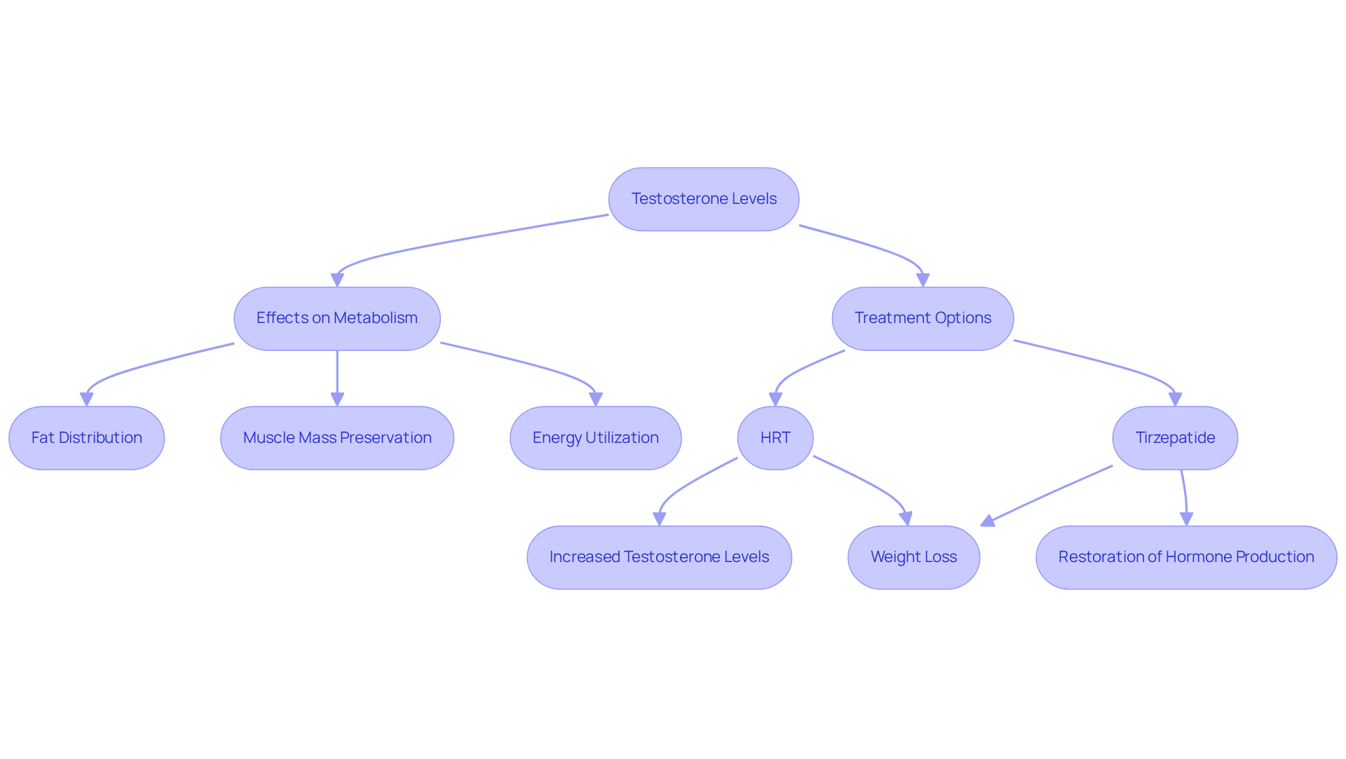 This flowchart shows how testosterone affects metabolism and the impact of treatments. Follow the arrows to see how testosterone levels influence body composition and energy, and what treatments can help improve these factors.
