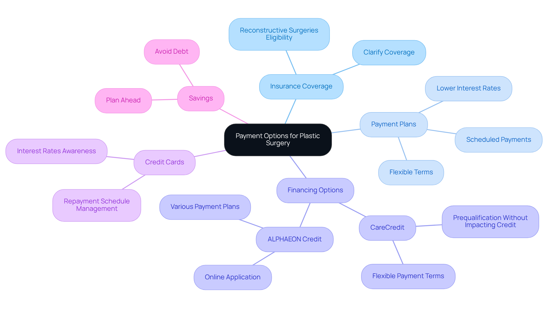 The center represents the main topic of payment options, and each branch shows a different method you can consider. Follow the branches to see details about each option, helping you make informed financial decisions. The center represents the main topic of payment options, and each branch shows a different method you can consider. Follow the branches to see details about each option, helping you make informed financial decisions.