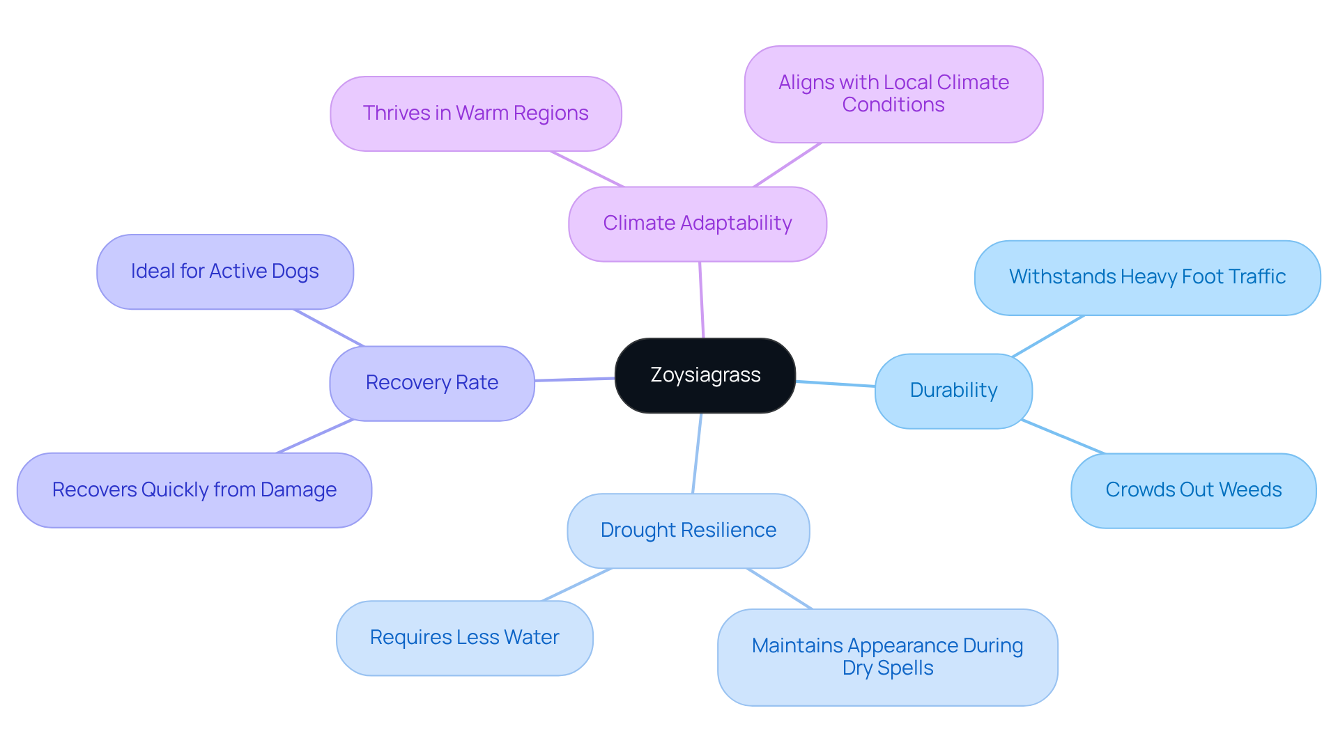 The central node represents Zoysiagrass, while the branches show its key features and benefits. Each branch connects to specific advantages, helping you understand why Zoysiagrass is ideal for homes with active dogs.