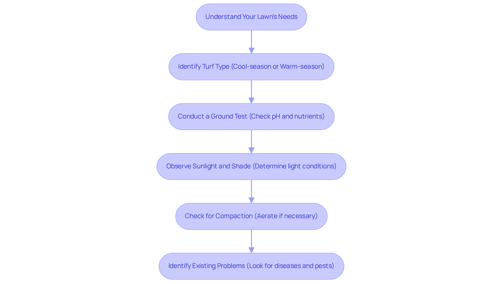 Follow the arrows to see the steps you need to take for a healthy lawn. Each box represents an important action, guiding you through the process of lawn care.