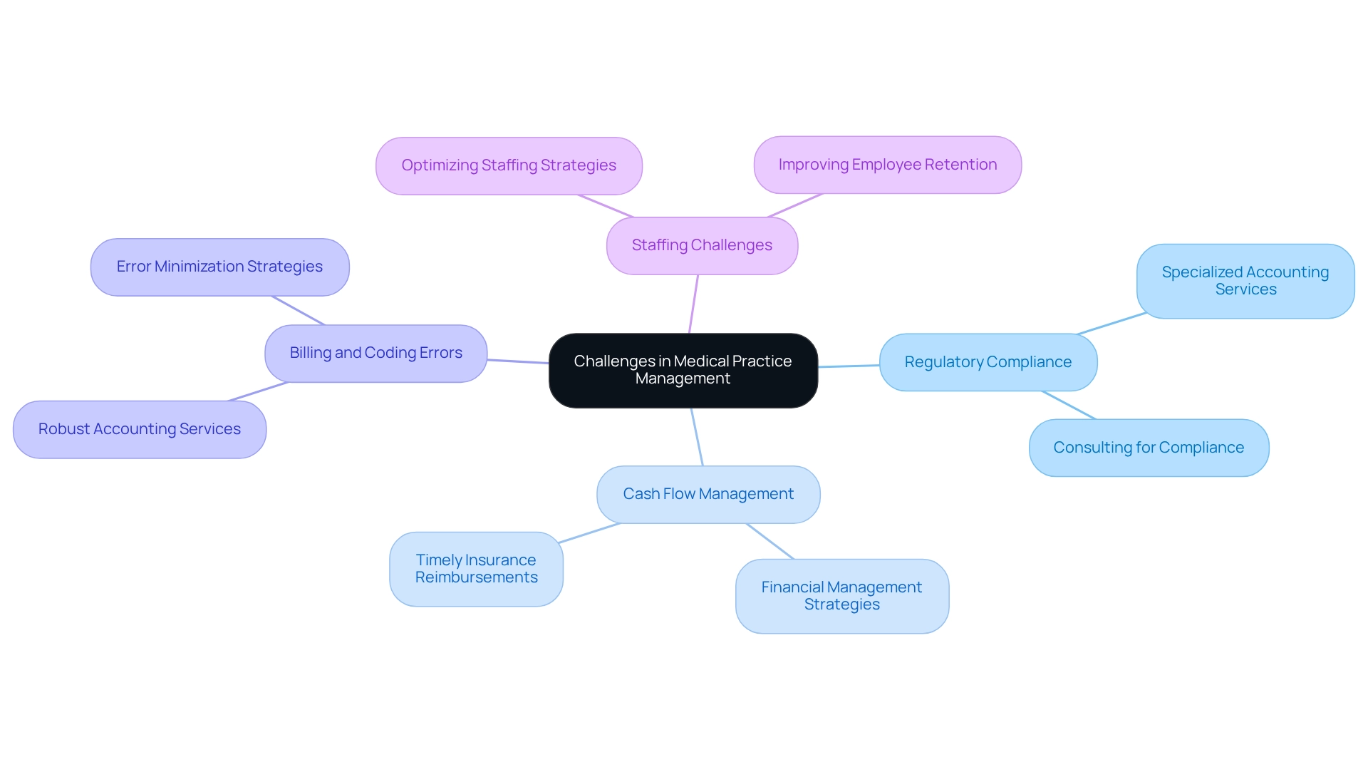 Each branch represents a specific challenge faced by healthcare providers, while sub-branches provide insights into potential solutions or services.