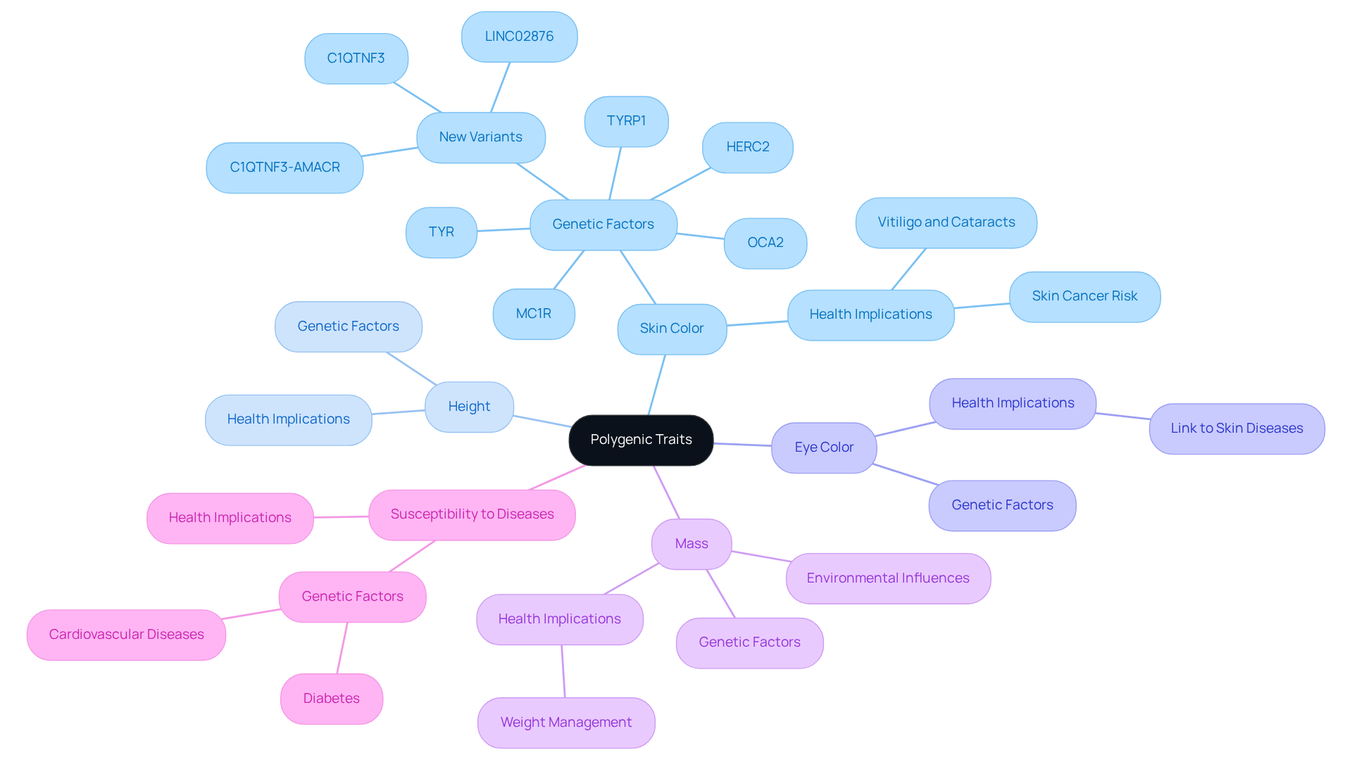 The central node represents the concept of polygenic traits, while each branch shows a specific example. The sub-branches provide additional details about the genetic factors involved and their implications for health. This structure helps visualize the complexity and interconnections of these traits.
