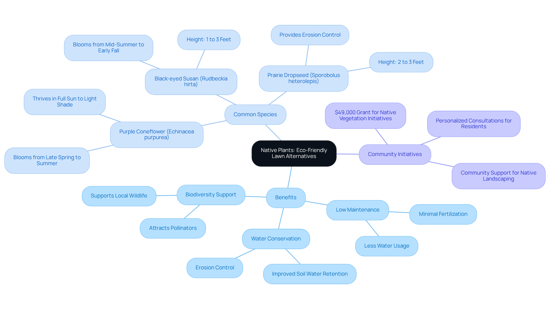 This mindmap illustrates how native plants serve as sustainable lawn alternatives. Each branch represents a different aspect: benefits, species, and community efforts. Explore how these elements connect to create a healthier ecosystem and vibrant landscapes. This mindmap illustrates how native plants serve as sustainable lawn alternatives. Each branch represents a different aspect: benefits, species, and community efforts. Explore how these elements connect to create a healthier ecosystem and vibrant landscapes.