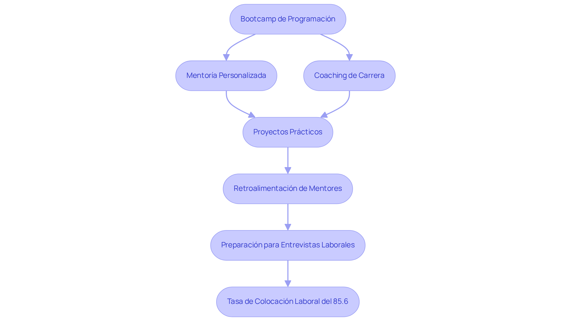 Cada caja representa un componente del programa que contribuye al éxito de los estudiantes. Sigue las flechas para ver cómo cada etapa lleva a resultados positivos en la carrera de los graduados.