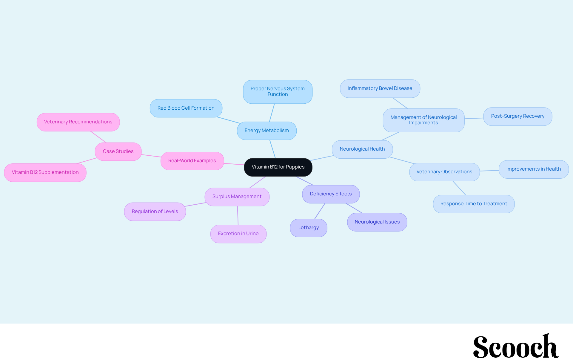 The center represents Vitamin B12, and the branches show its various roles and effects on puppies. Follow the branches to explore how this vitamin supports energy and brain health, and see examples of its impact on young dogs. The center represents Vitamin B12, and the branches show its various roles and effects on puppies. Follow the branches to explore how this vitamin supports energy and brain health, and see examples of its impact on young dogs.