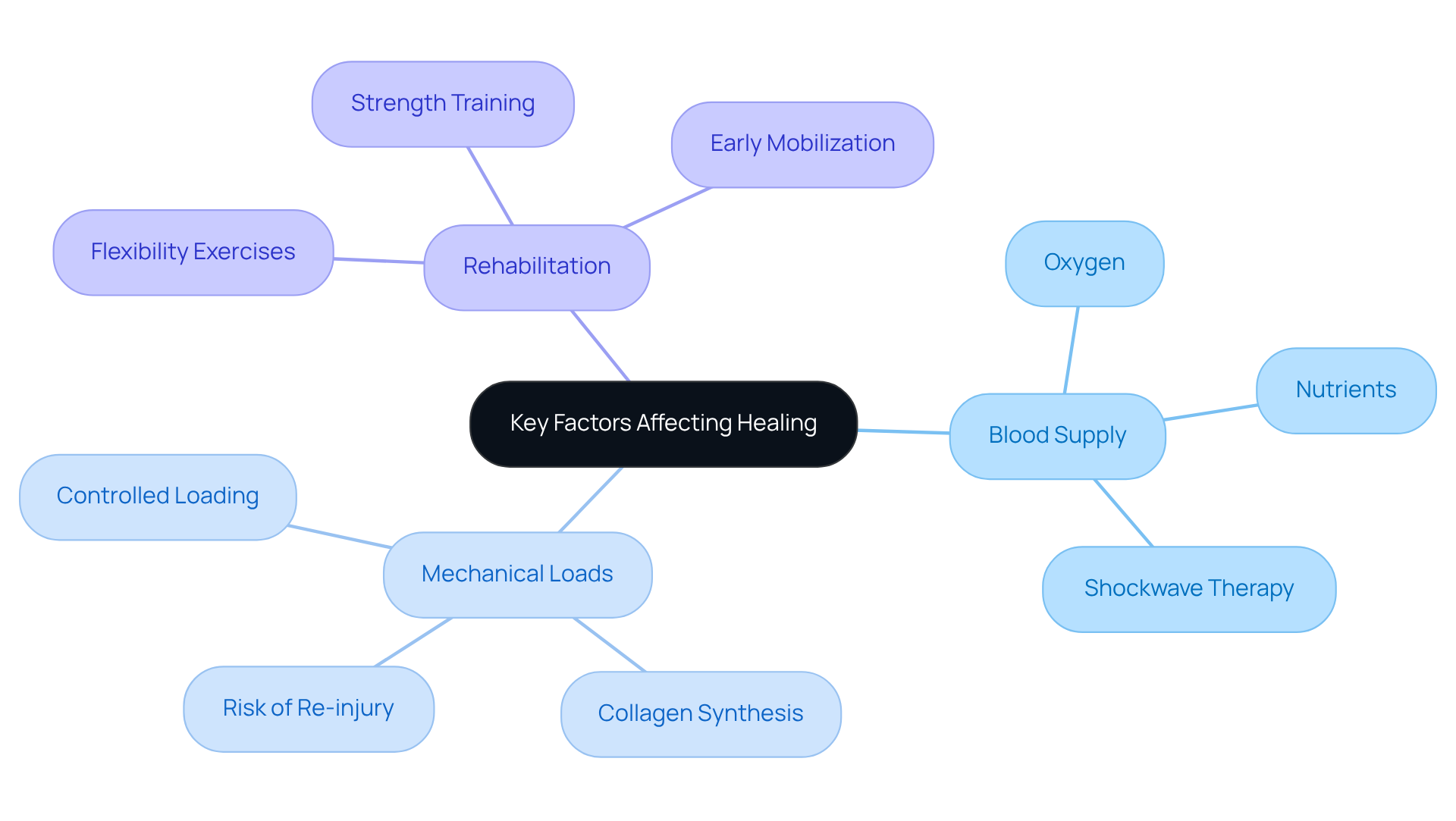 This mindmap shows the main factors that affect healing. Start at the center with 'Key Factors Affecting Healing', then explore each branch to see how blood supply, mechanical loads, and rehabilitation contribute to recovery. Each sub-branch provides more detail on specific elements that can help in the healing process.