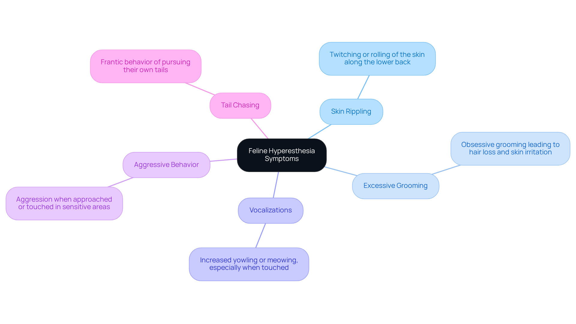 The central node represents the condition, and the branches illustrate the various symptoms. Each symptom is a sign to look out for in your cat, helping you understand and respond to their needs.