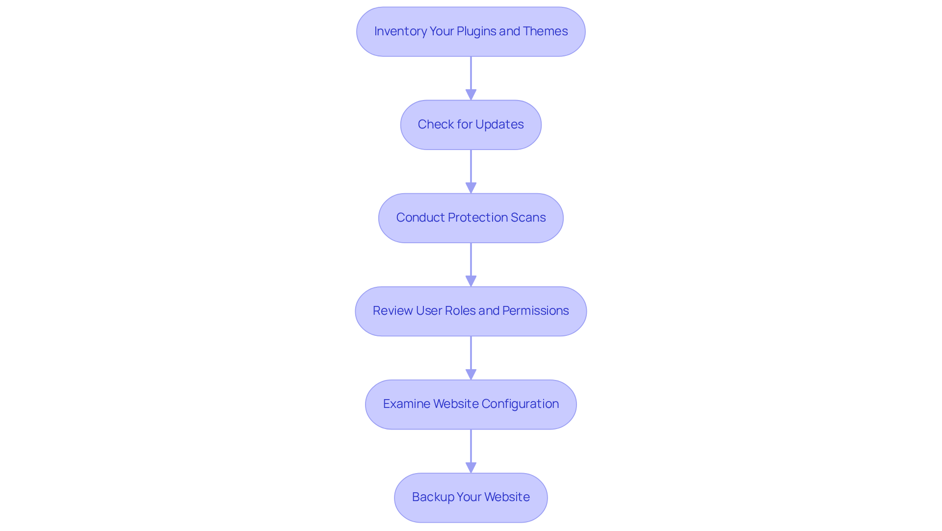 Each box represents a crucial step in the security audit process. Follow the arrows to see the order in which these steps should be completed to ensure your website's safety.