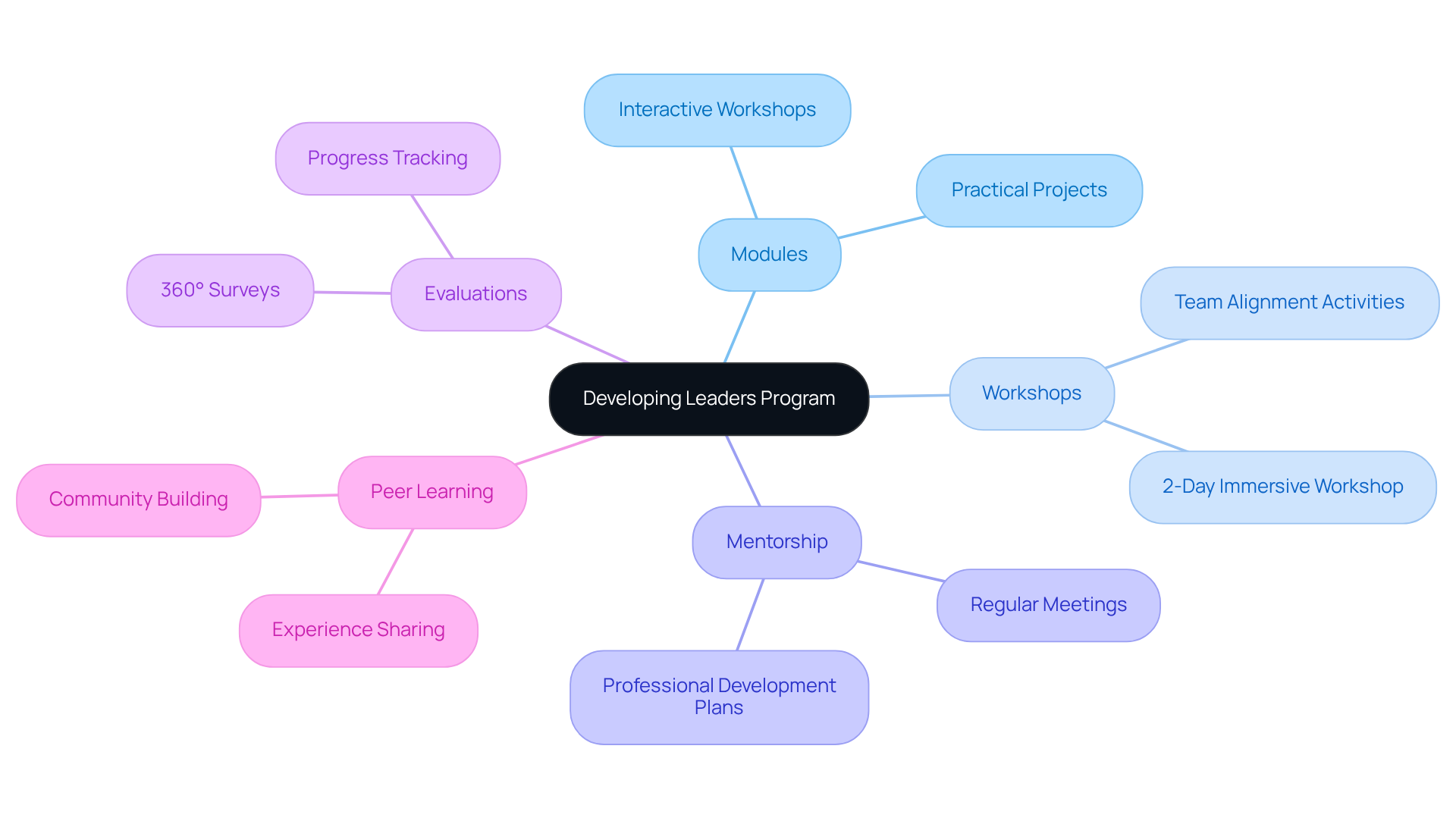 This mindmap shows how the Developing Leaders Program is organized. Start at the center with the program name, then follow the branches to see the different components and their specific elements. Each color represents a different area of focus, helping you understand how everything connects. This mindmap shows how the Developing Leaders Program is organized. Start at the center with the program name, then follow the branches to see the different components and their specific elements. Each color represents a different area of focus, helping you understand how everything connects.